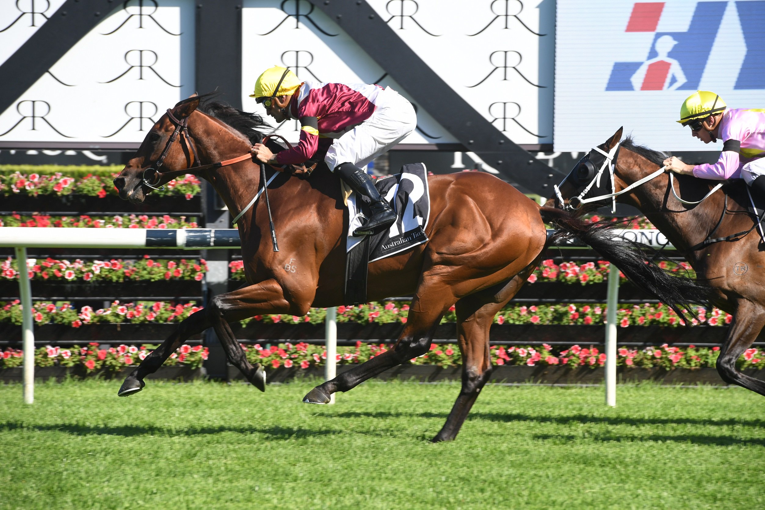 Fierce Impact to line-up in Scone Cup | Sports News Australia