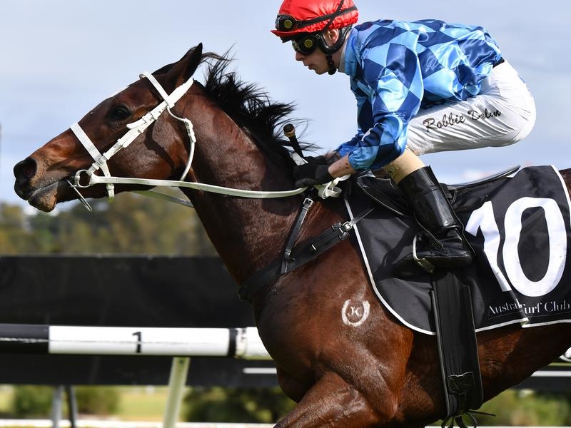 Cox Plate winner Adelaide sires first winner | Sports News Australia