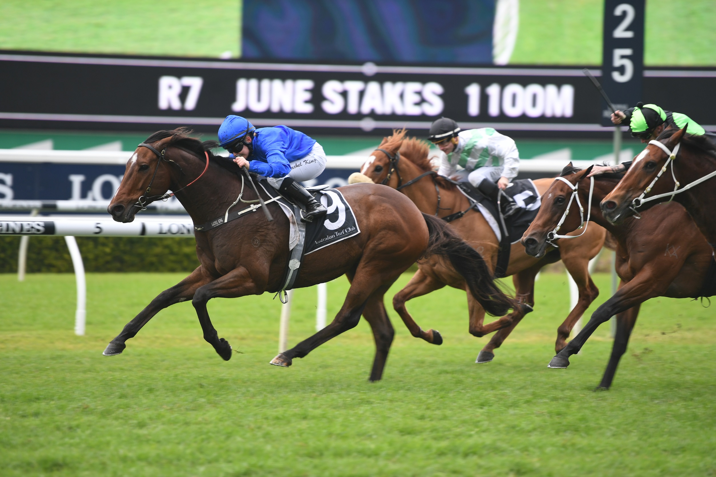 Deprive steps up for first stakes success | Sports News Australia