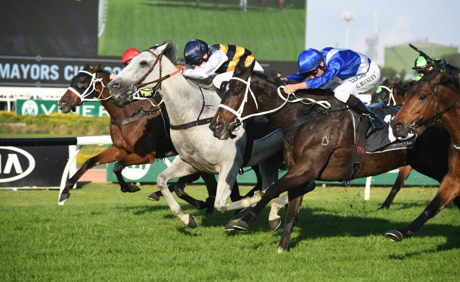 Trainer Matt Smith with runners in three states | Sports News Australia