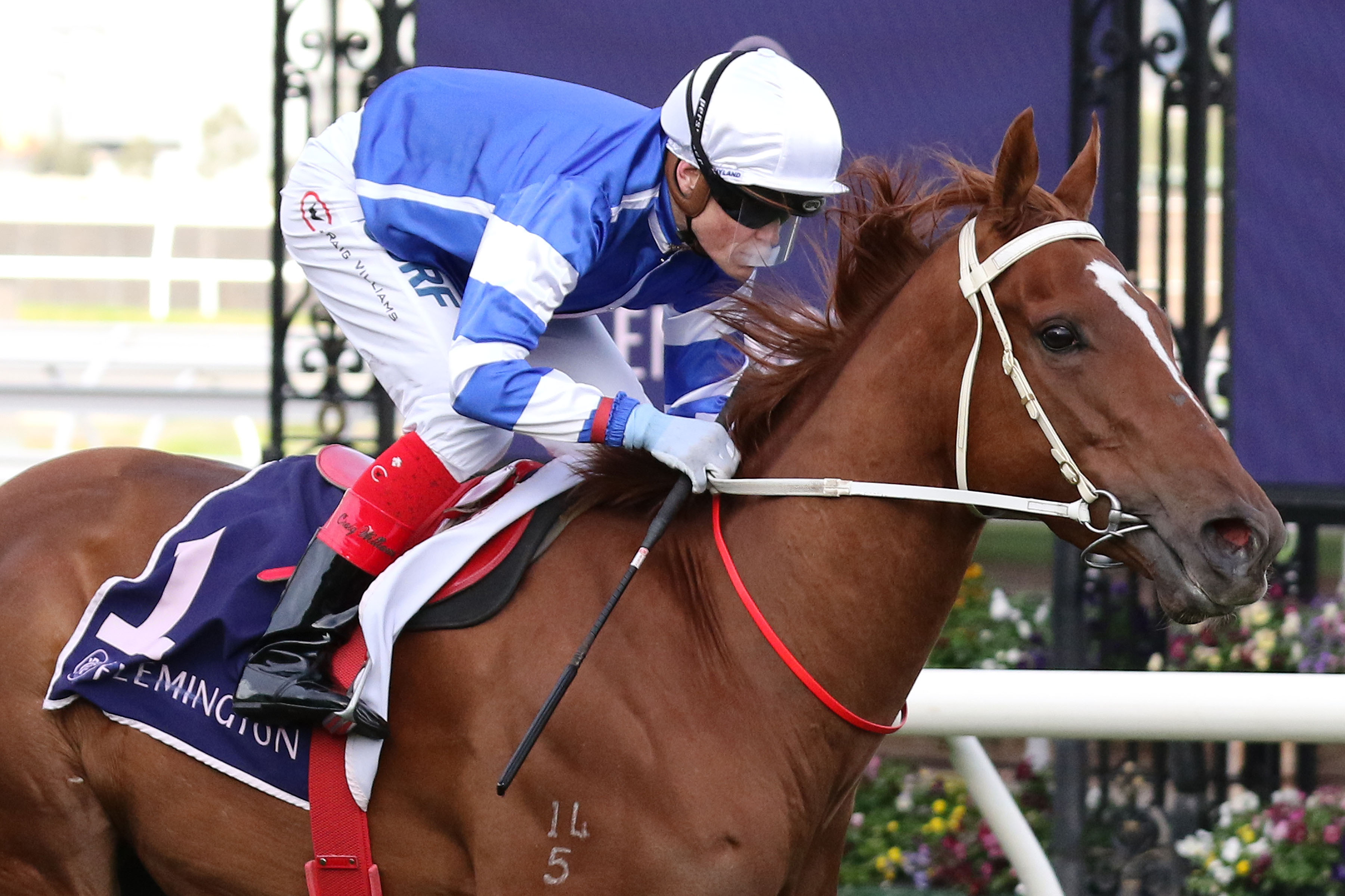 Results: Gytrash far too good in Creswick Stakes | Sports News Australia
