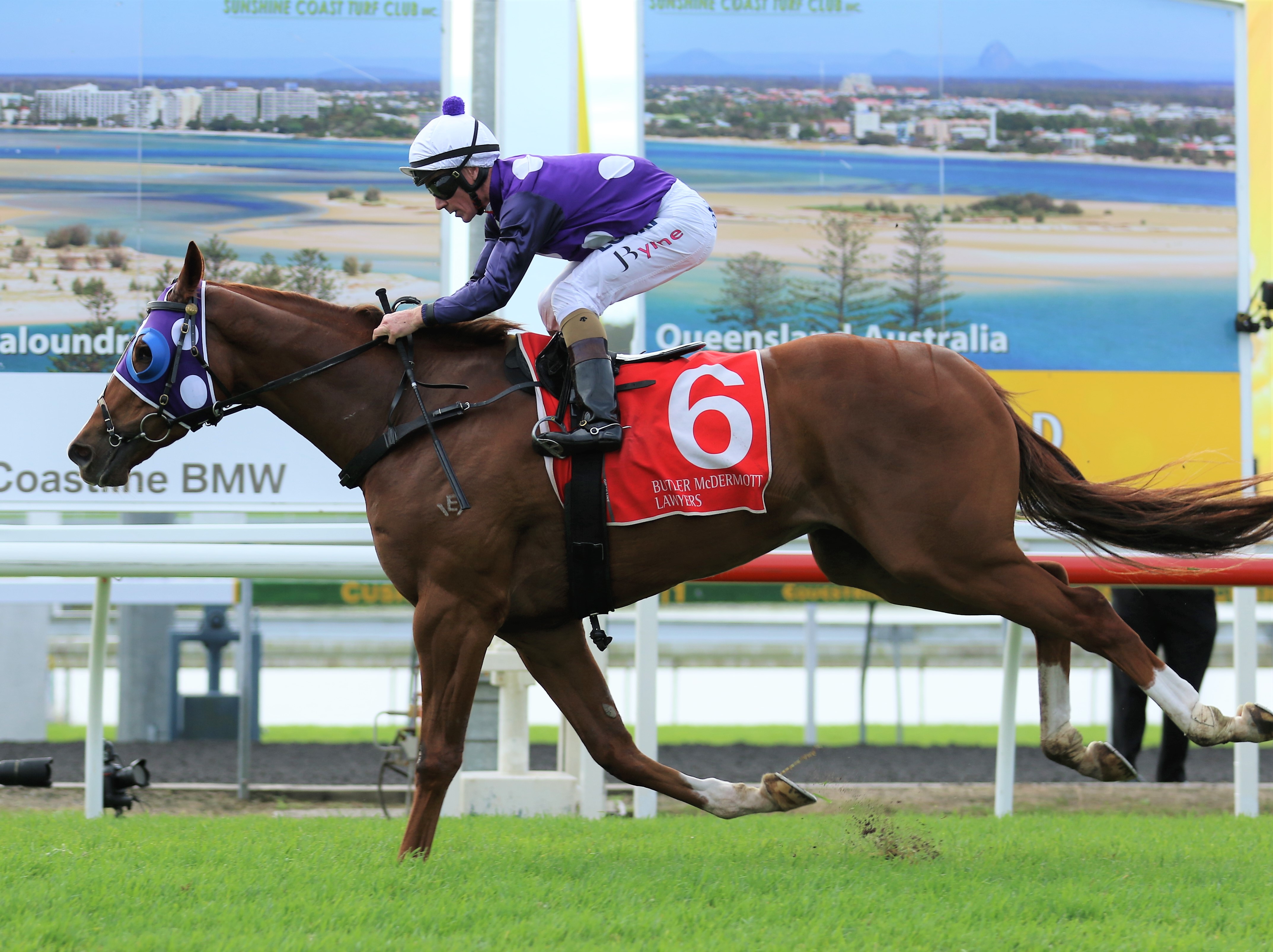 Shogun Sun to bypass Rockhampton Newmarket field | Sports News Australia