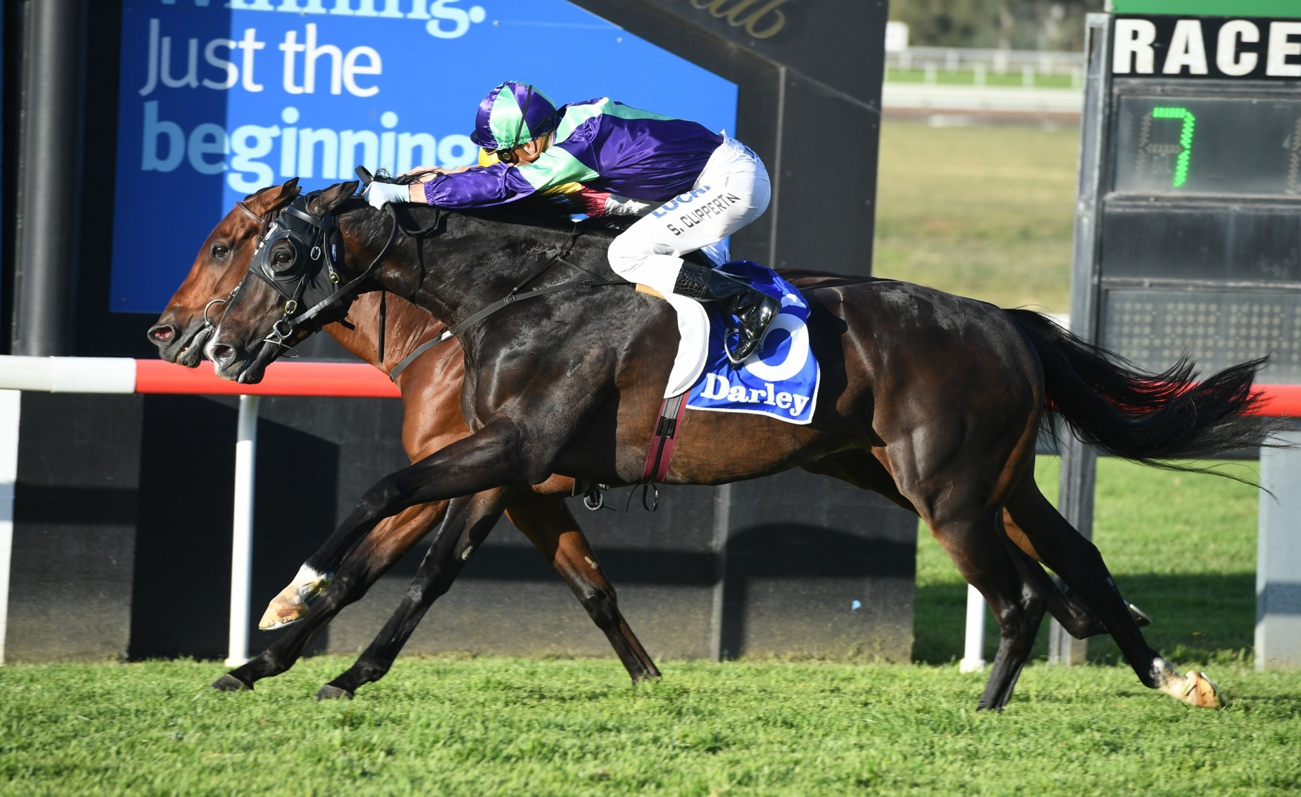 Racing NSW increase country prize money | Sports News Australia