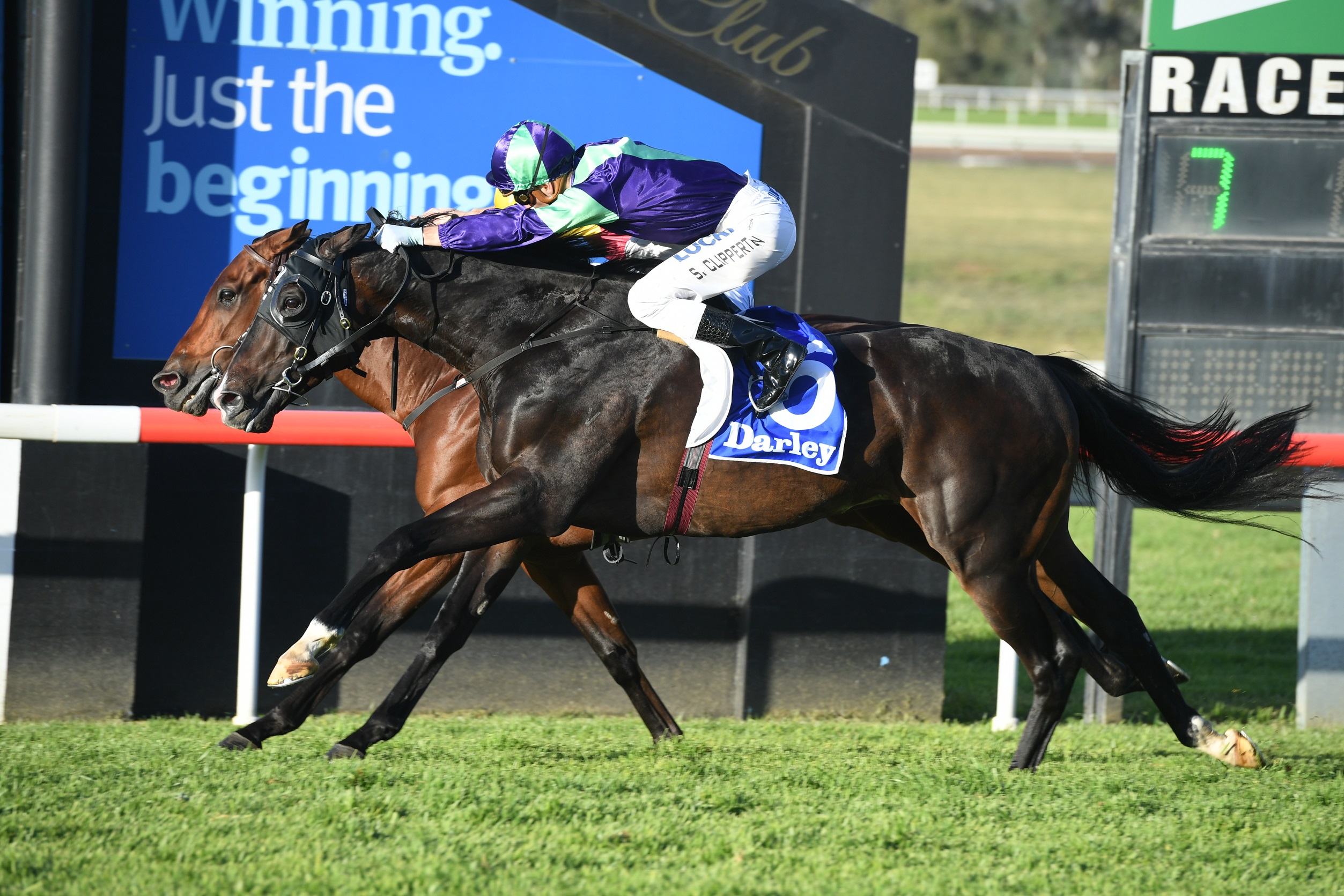 Racing NSW increase country prize money | Sports News Australia