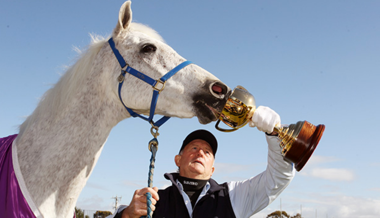 Melbourne Cup winner Subzero improving but not out of woods | Sports ...