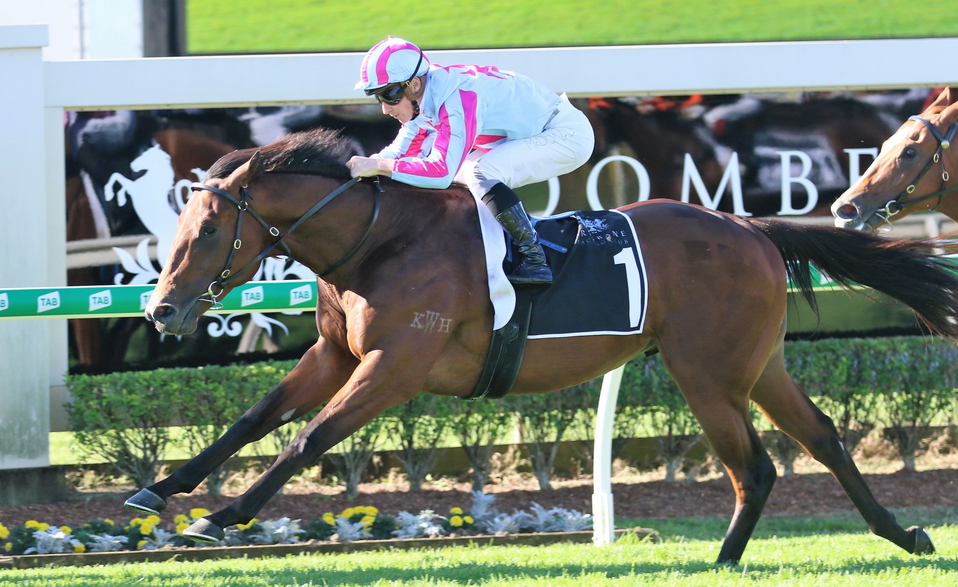Dubious set to bounce back in McNeil Stakes | Sports News Australia