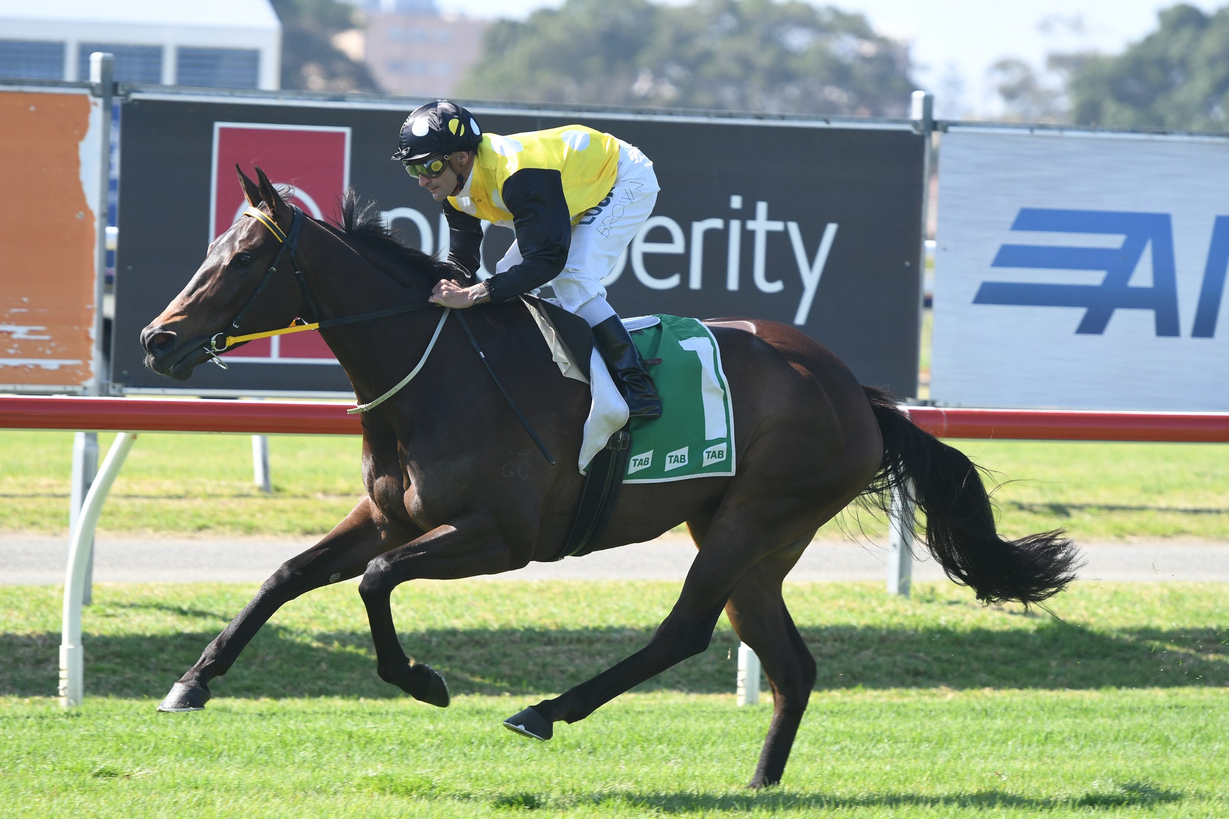 The Everest contenders set to trial | Sports News Australia