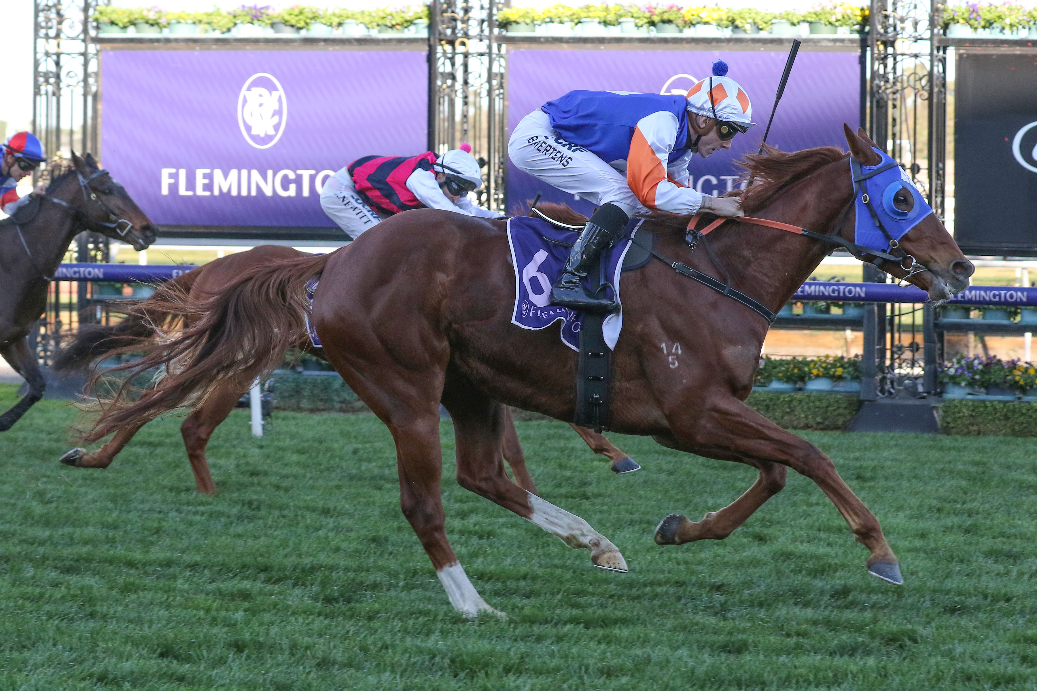 Moonee Valley Races Tips and Bets – 3/8/2019 | Sports News Australia