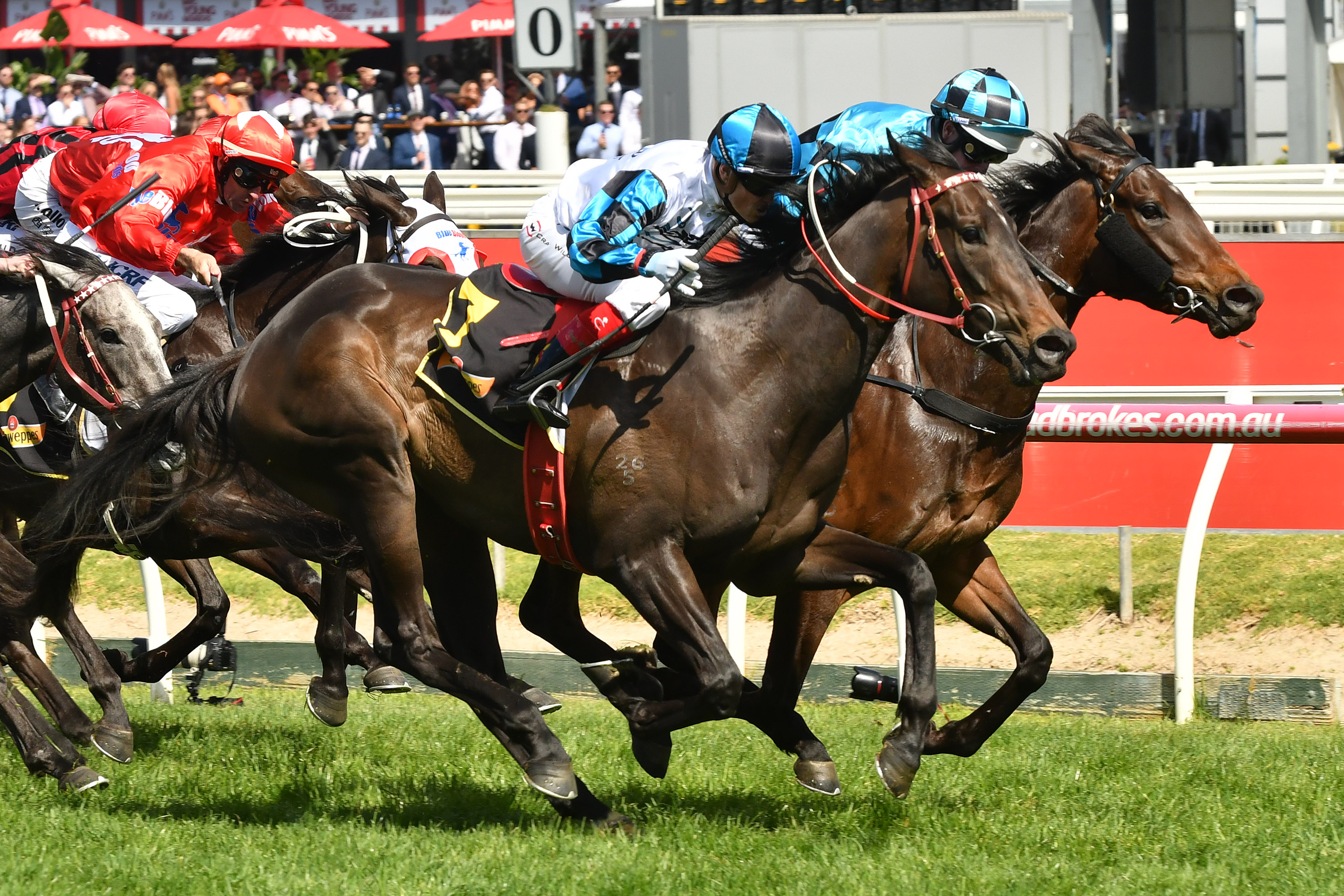 Golden Eagle or Empire Rose Stakes the targets for Fundamentalist ...