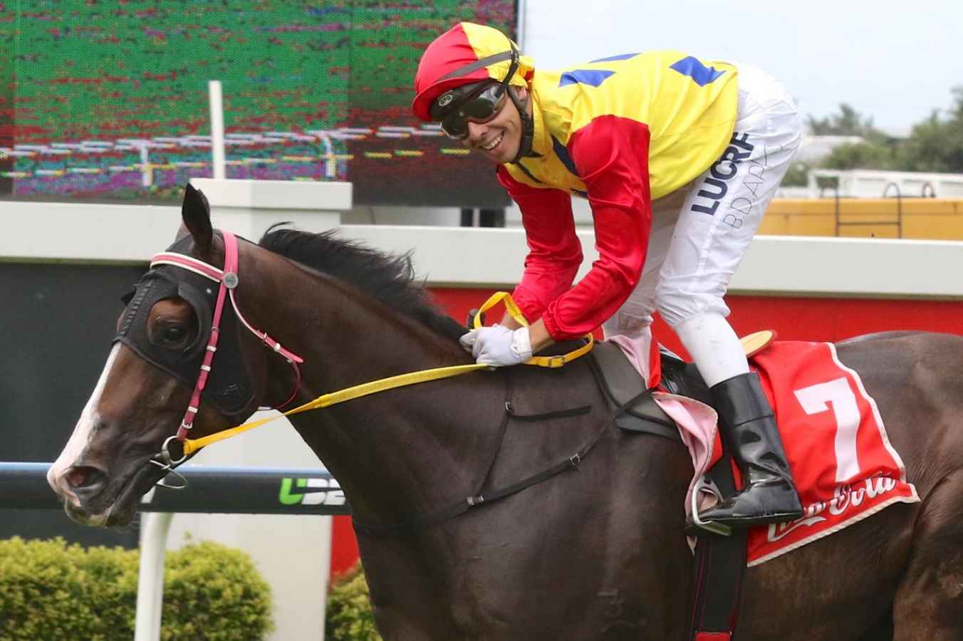 Beau Appo appeal to begin with a practical demonstration | Sports News ...