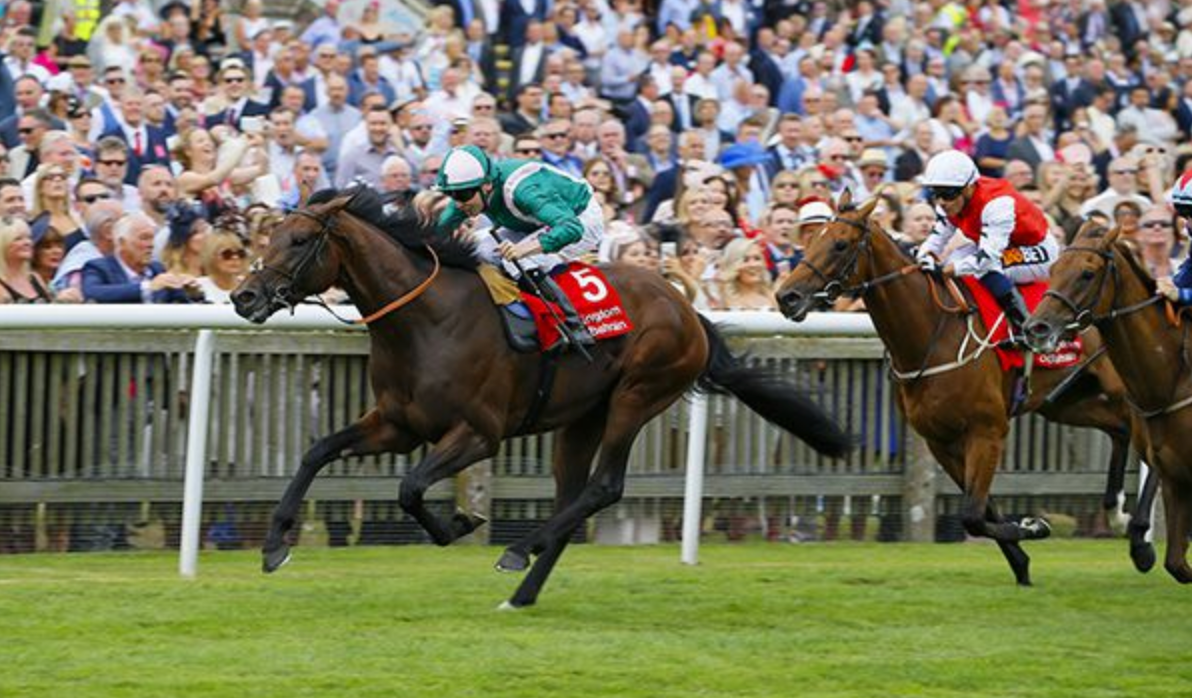 2019 Caulfield Cup an option for import Raheen House | Sports News ...