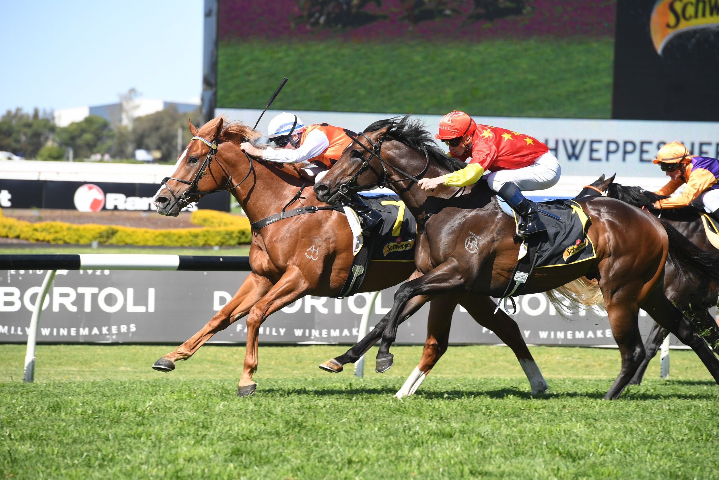Standout wins Listed Heritage Stakes | Sports News Australia