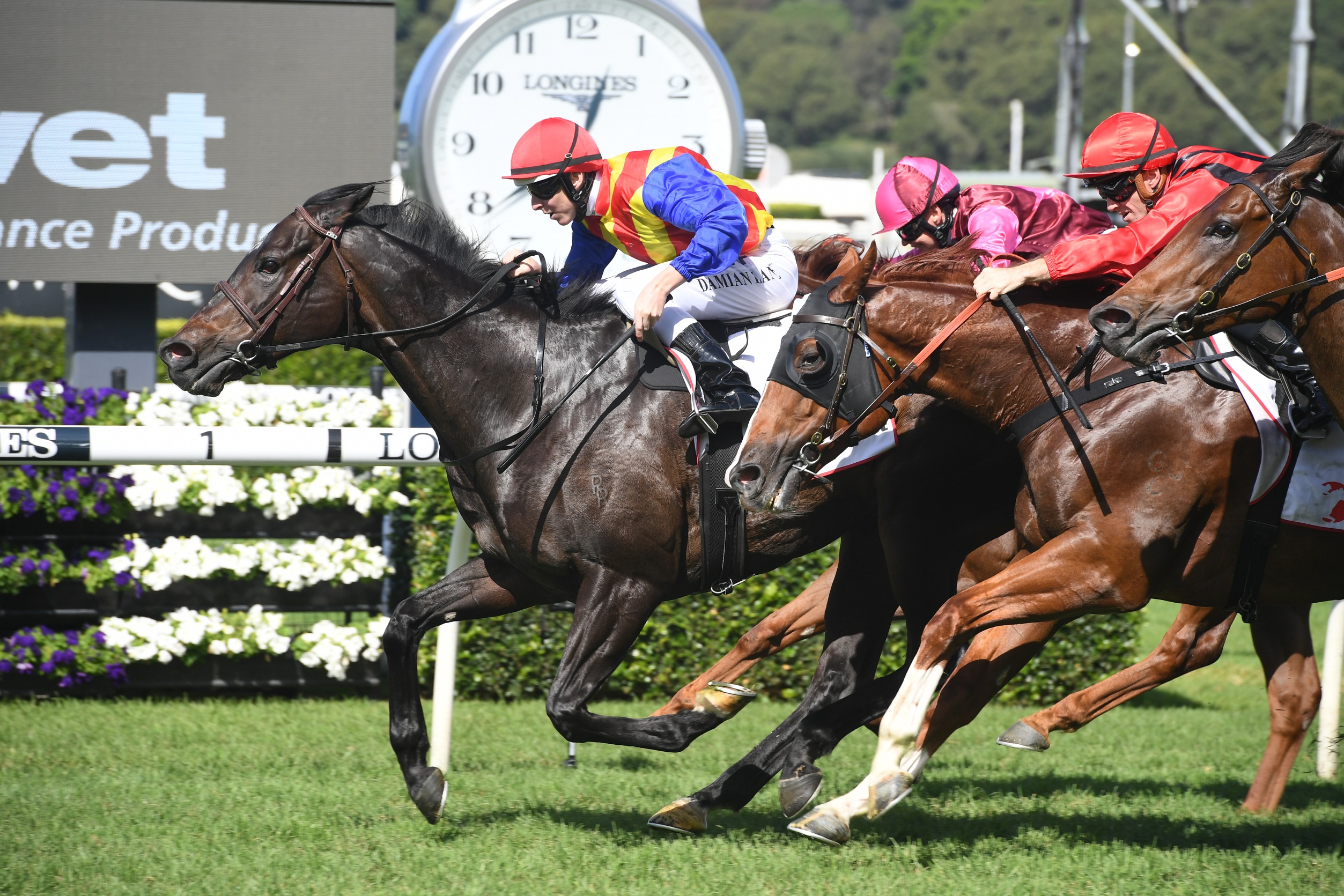 Top Striker in new territory at Doomben | Sports News Australia