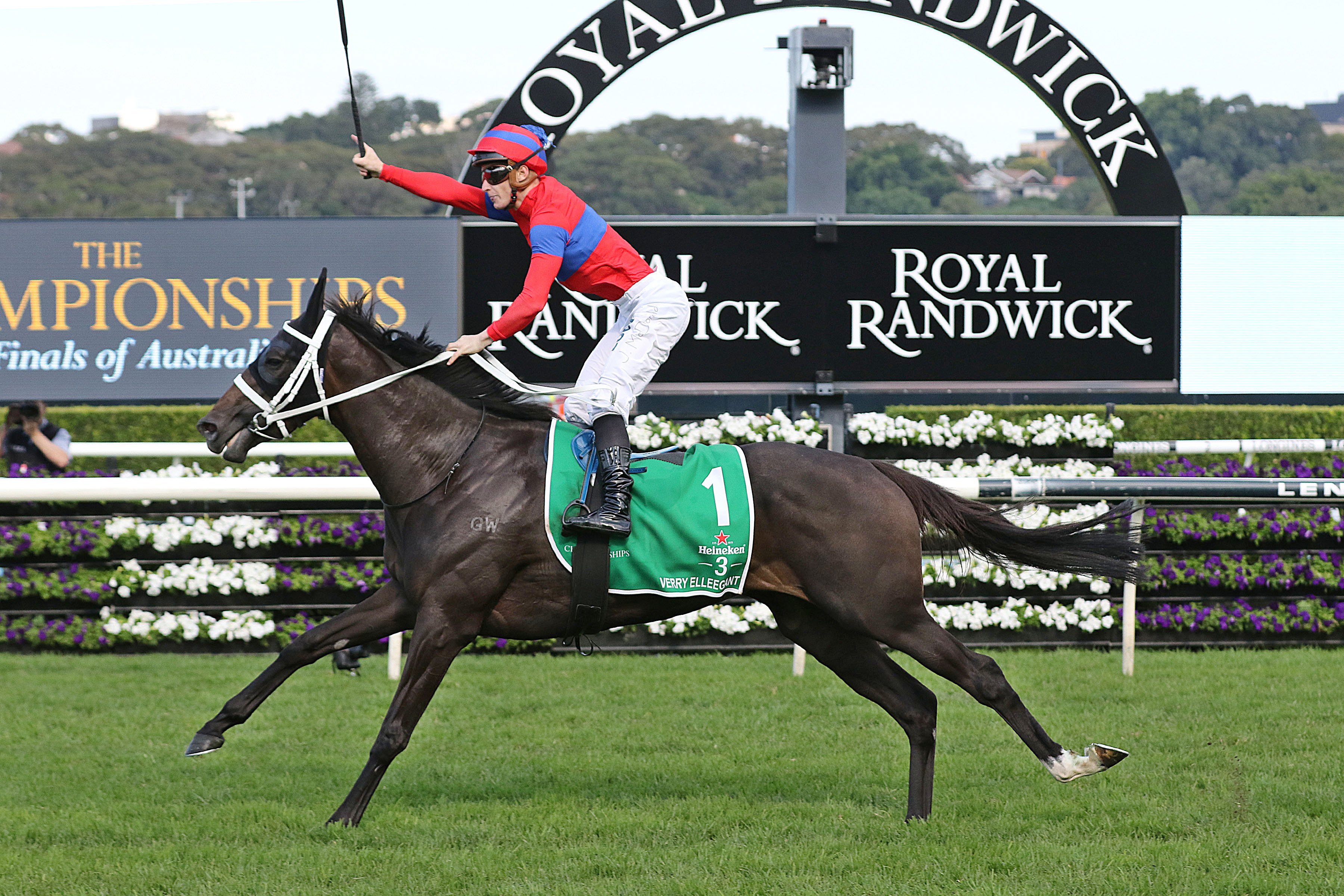 George Main Stakes a campaign-defining race for Verry Elleegant ...