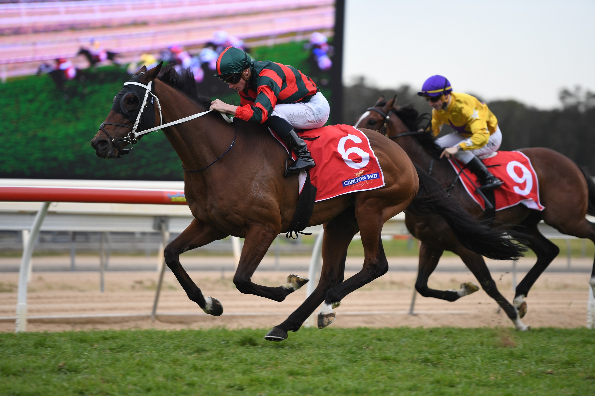 Wu Gok claims 2019 Wyong Cup | Sports News Australia