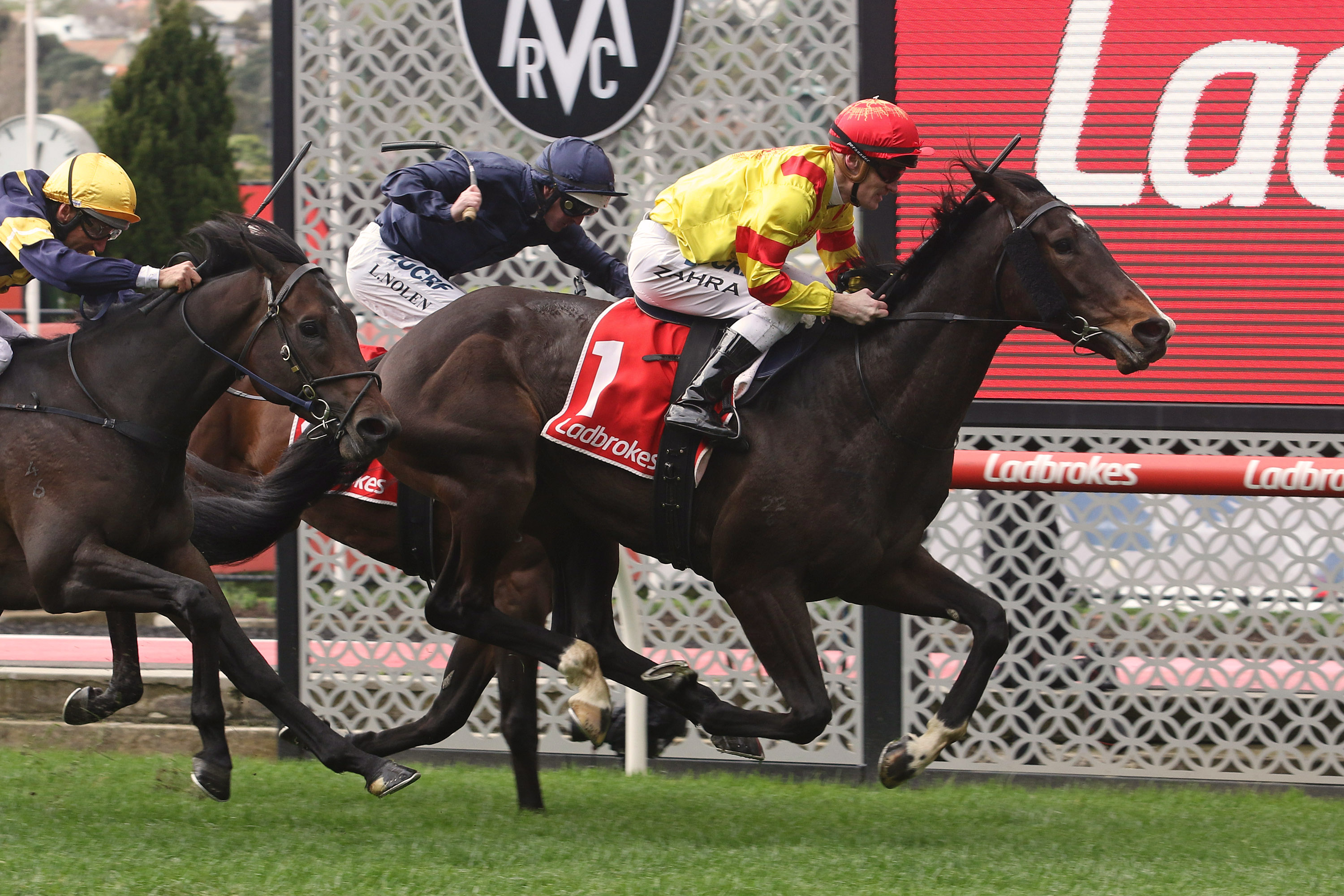 Victoria Derby 2019 the aim for Power Scheme | Sports News Australia