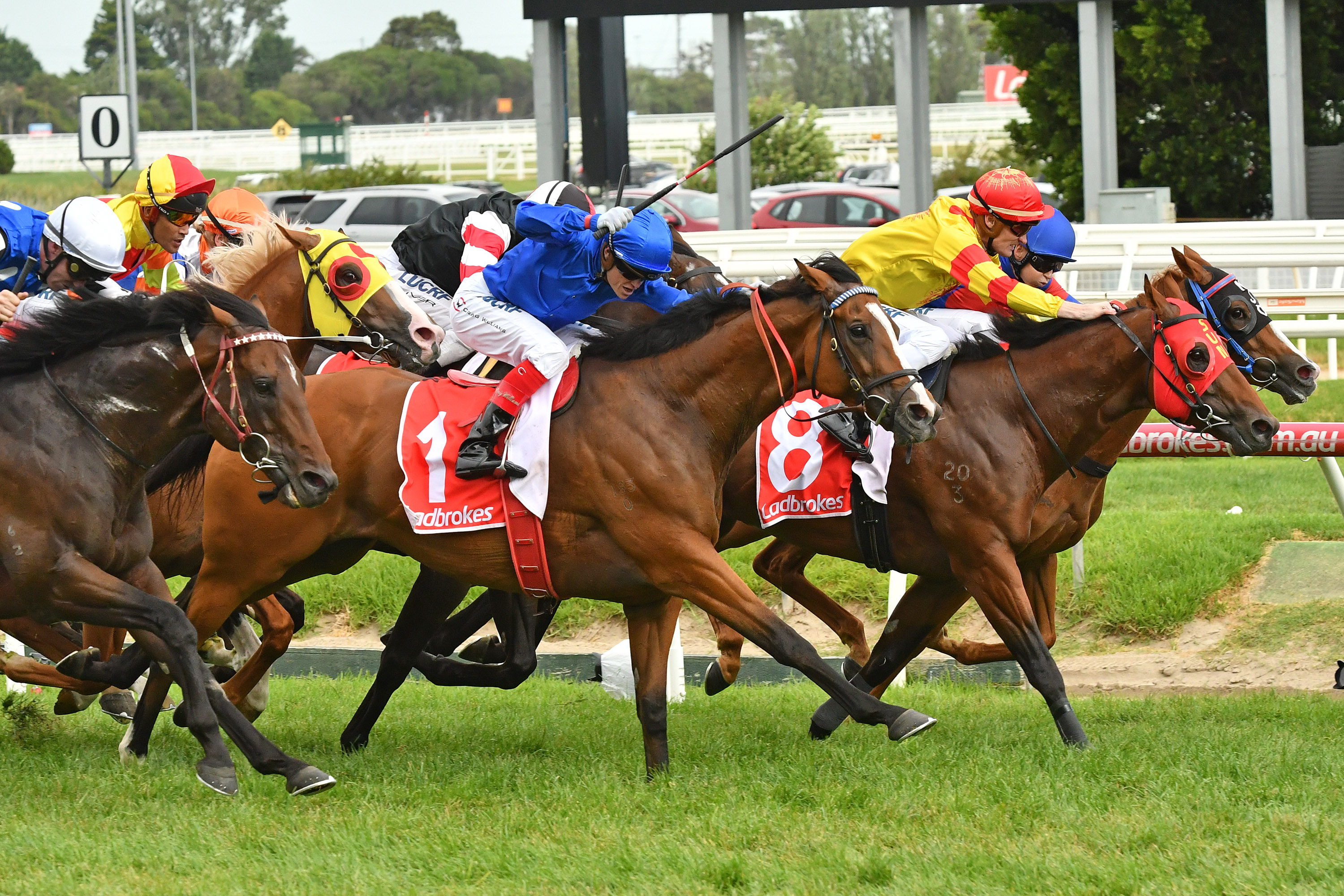 Hartnell primed for 2019 Makybe Diva Stakes | Sports News Australia