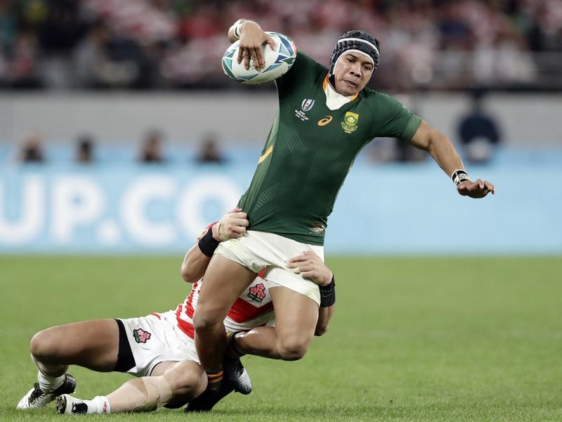 Springbok winger Kolbe out RWC semi | Sports News Australia