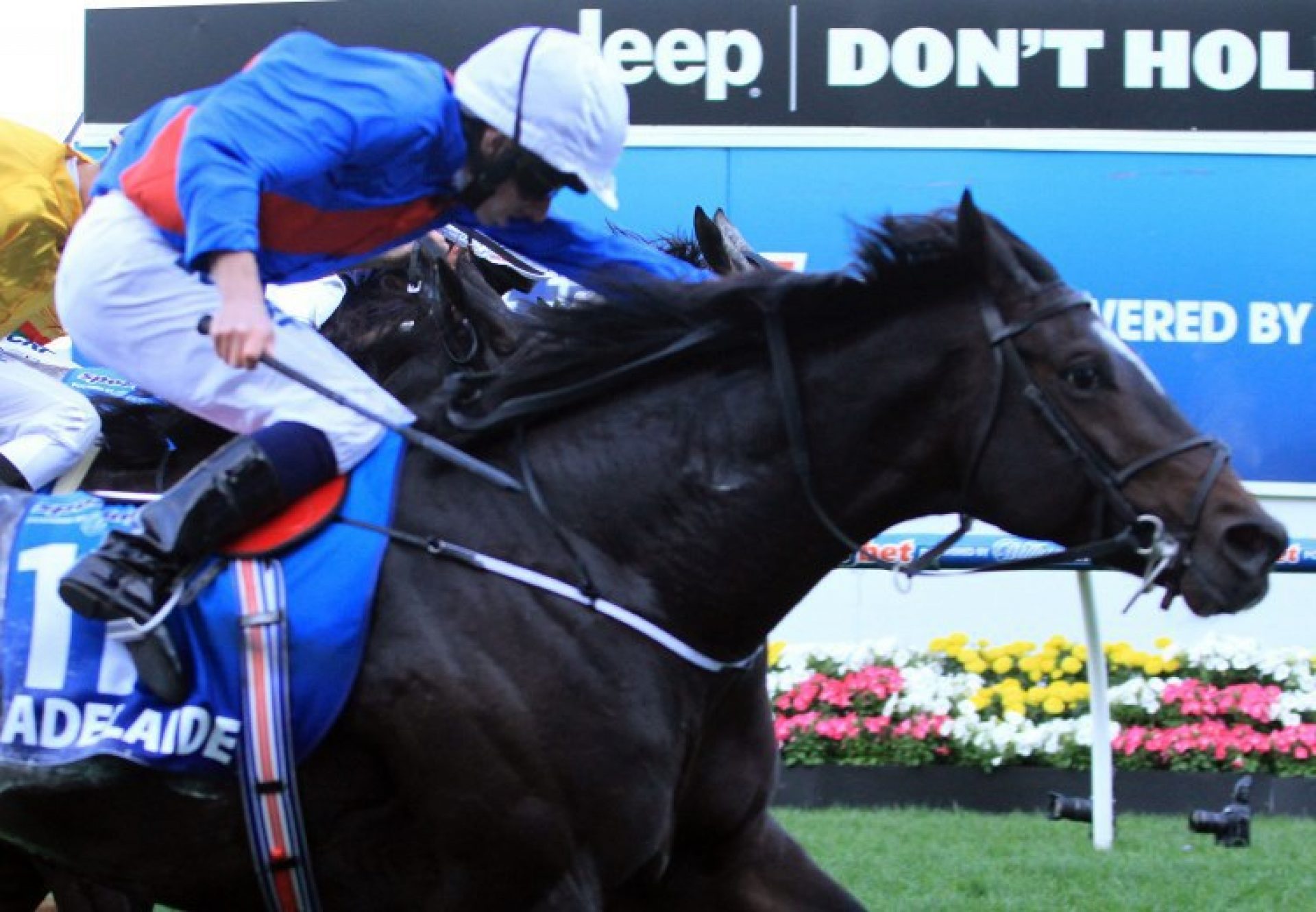 Ryan Moore chasing 2019 Cox Plate win on Magic Wand | Sports News Australia