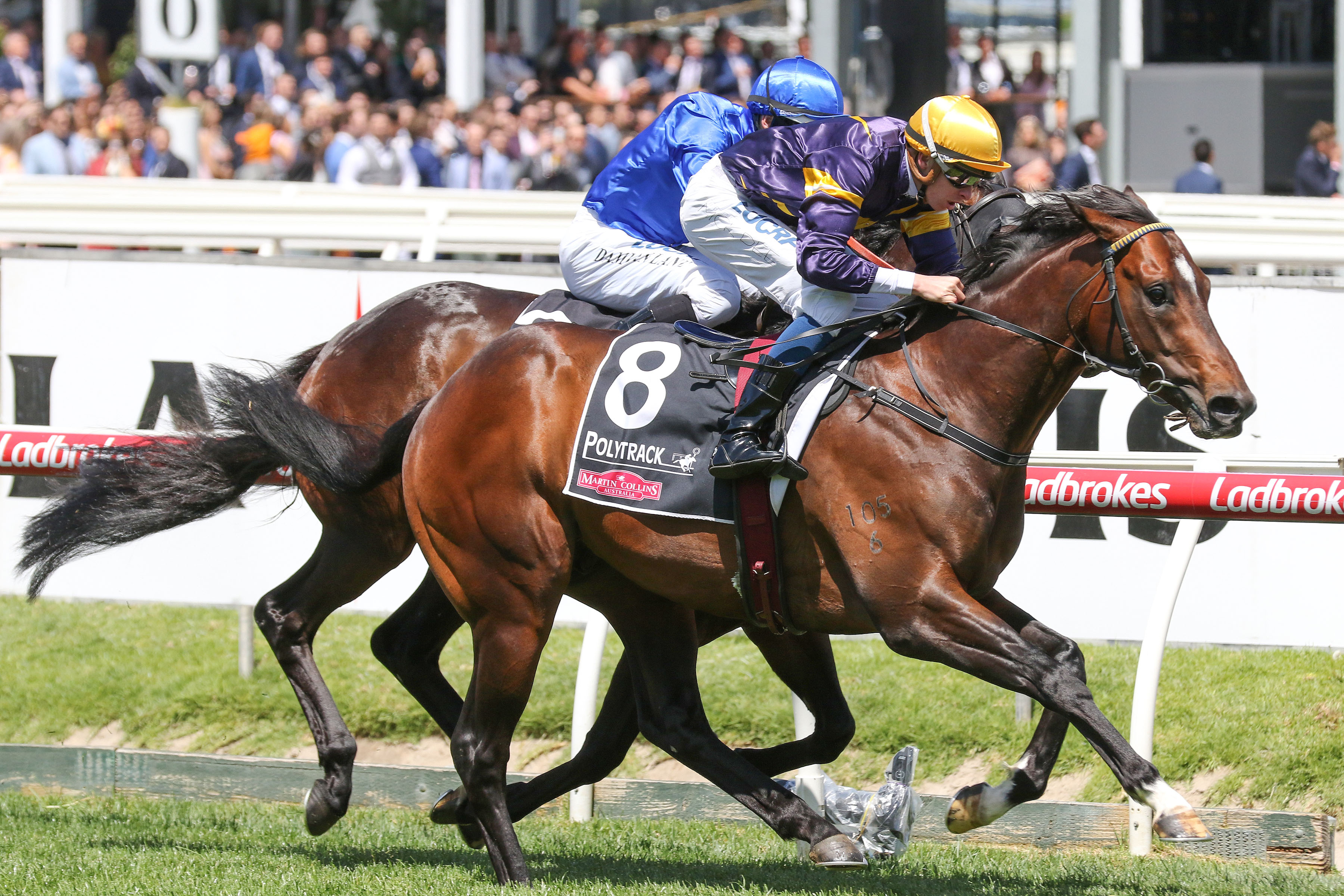 Alabama Express breaks through in the Gothic Stakes | Sports News Australia