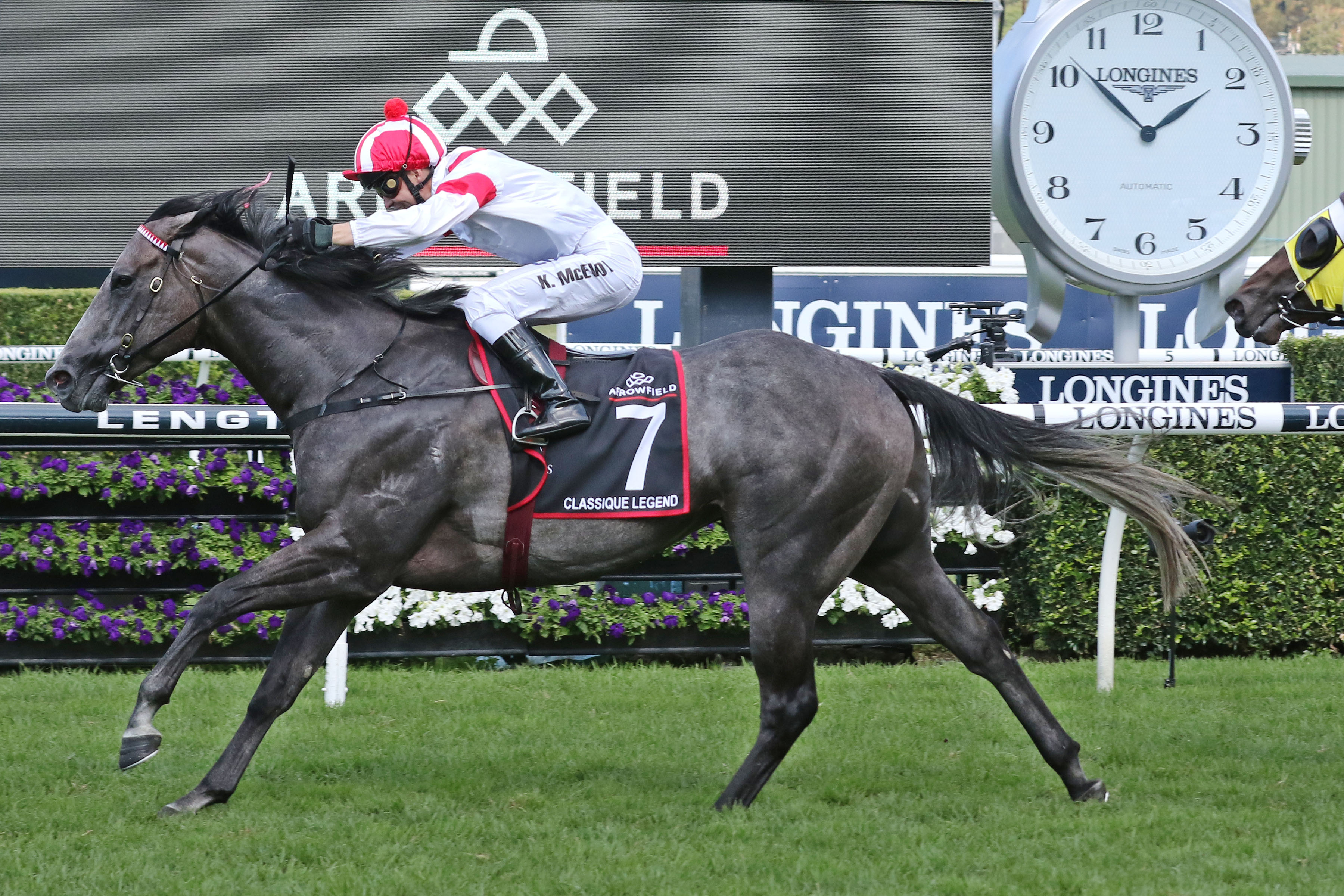 Classique Legend ready to tackle The Everest 2019 | Sports News Australia