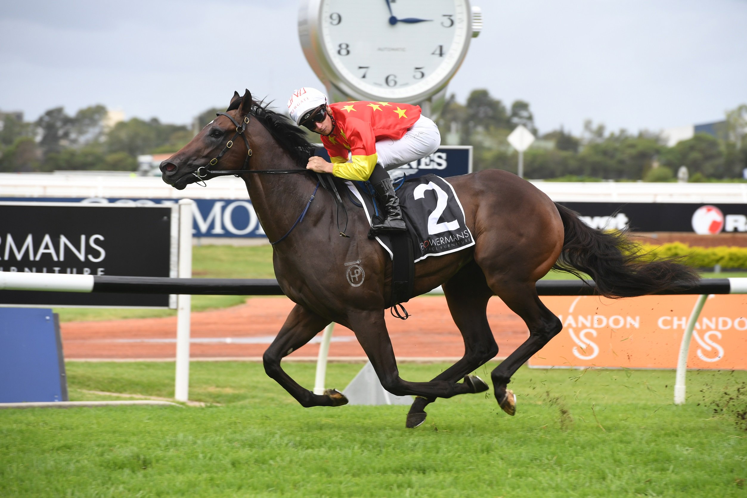 Cosmic Force chasing Roman Consul Stakes win | Sports News Australia