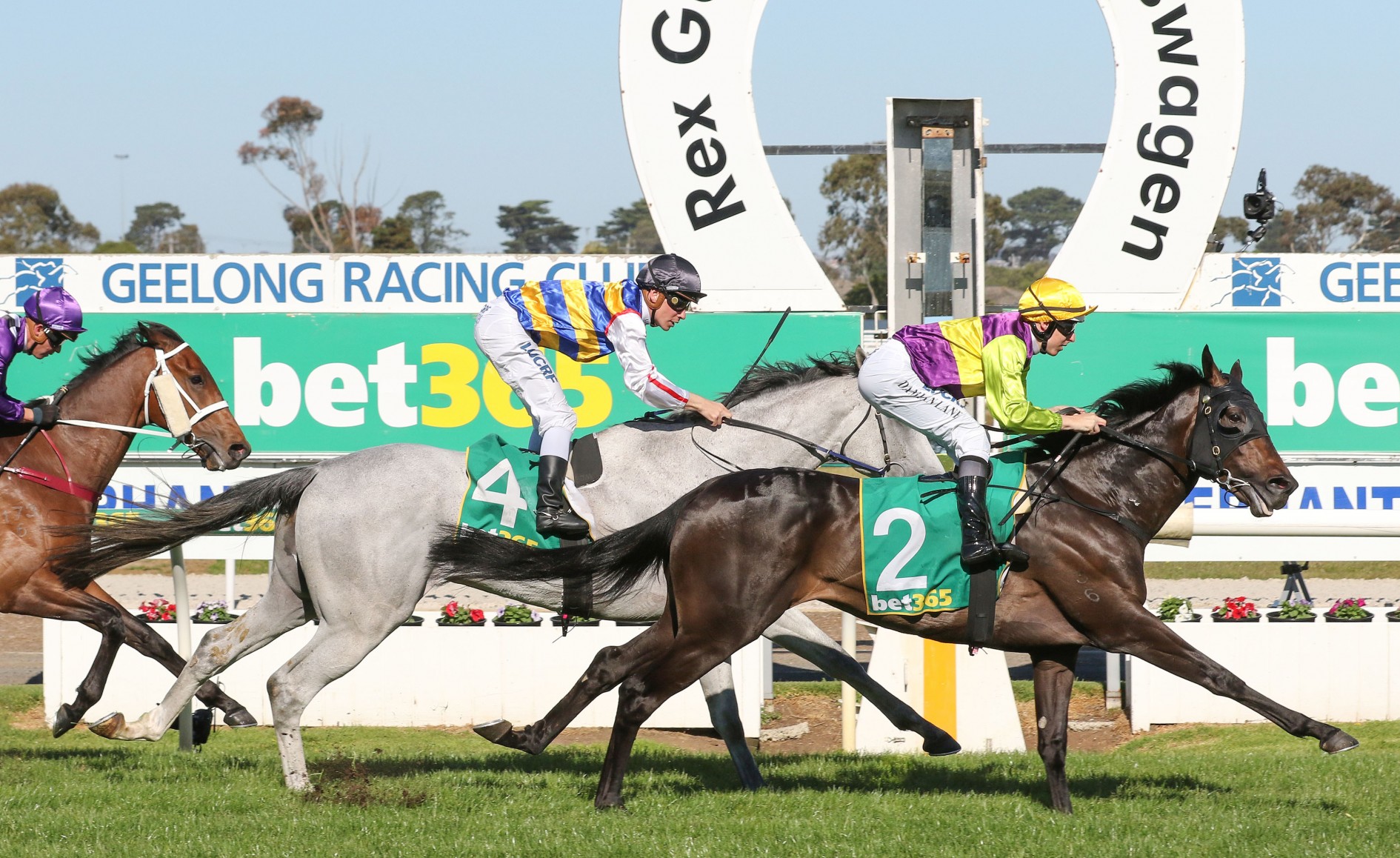 Geelong Tips, Race Previews and Selections – 1/12/2021 | Sports News ...