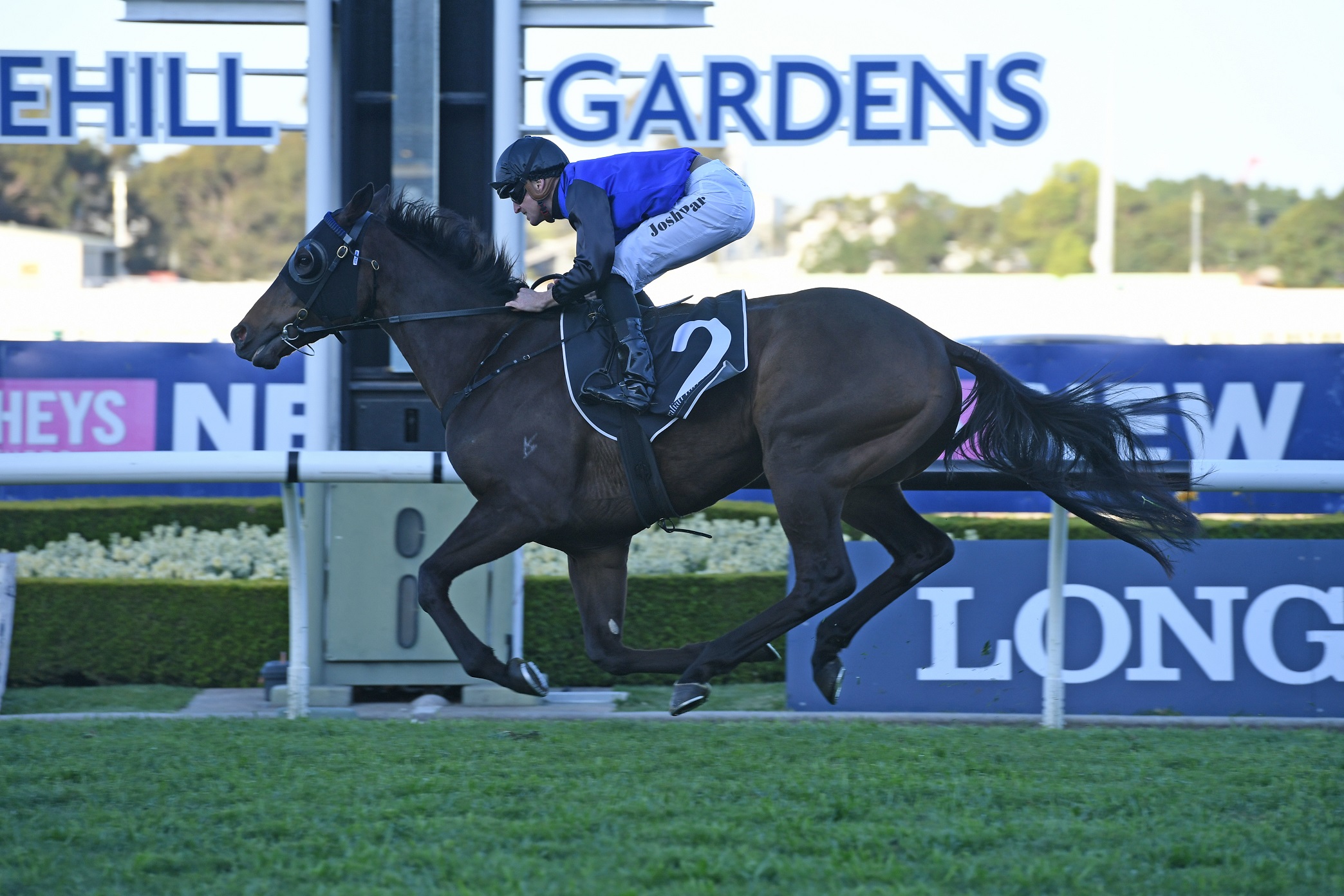 Spring Champion Stakes day Tips and Bets – Randwick Races 12/10/2019 ...