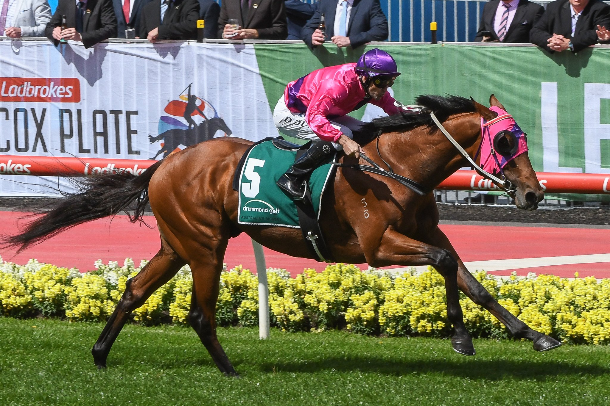 Ken Keys targets Victoria Derby, Empire Rose Stakes | Sports News Australia