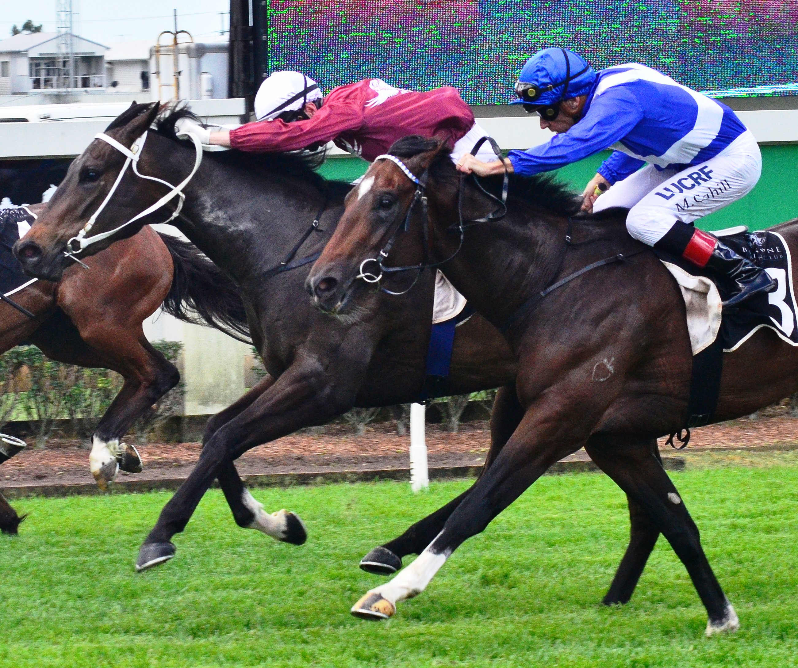 Xanthus looks to book spot in Magic Millions Guineas field | Sports ...