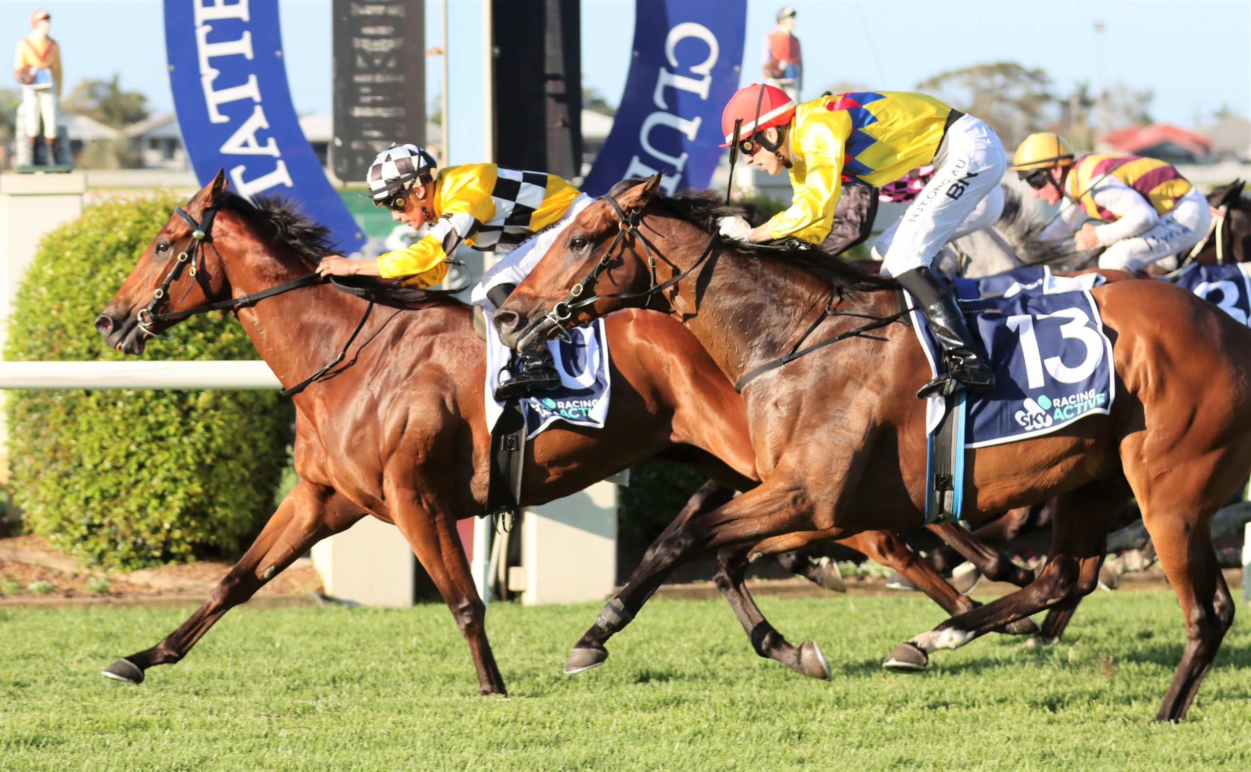 Tambo's Mate wins the Recognition Stakes | Sports News Australia