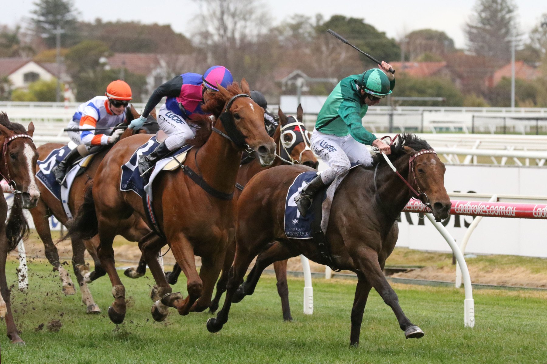 Zipping Classic day Tips and Bets – Sandown Races 16/11/2019 | Sports ...