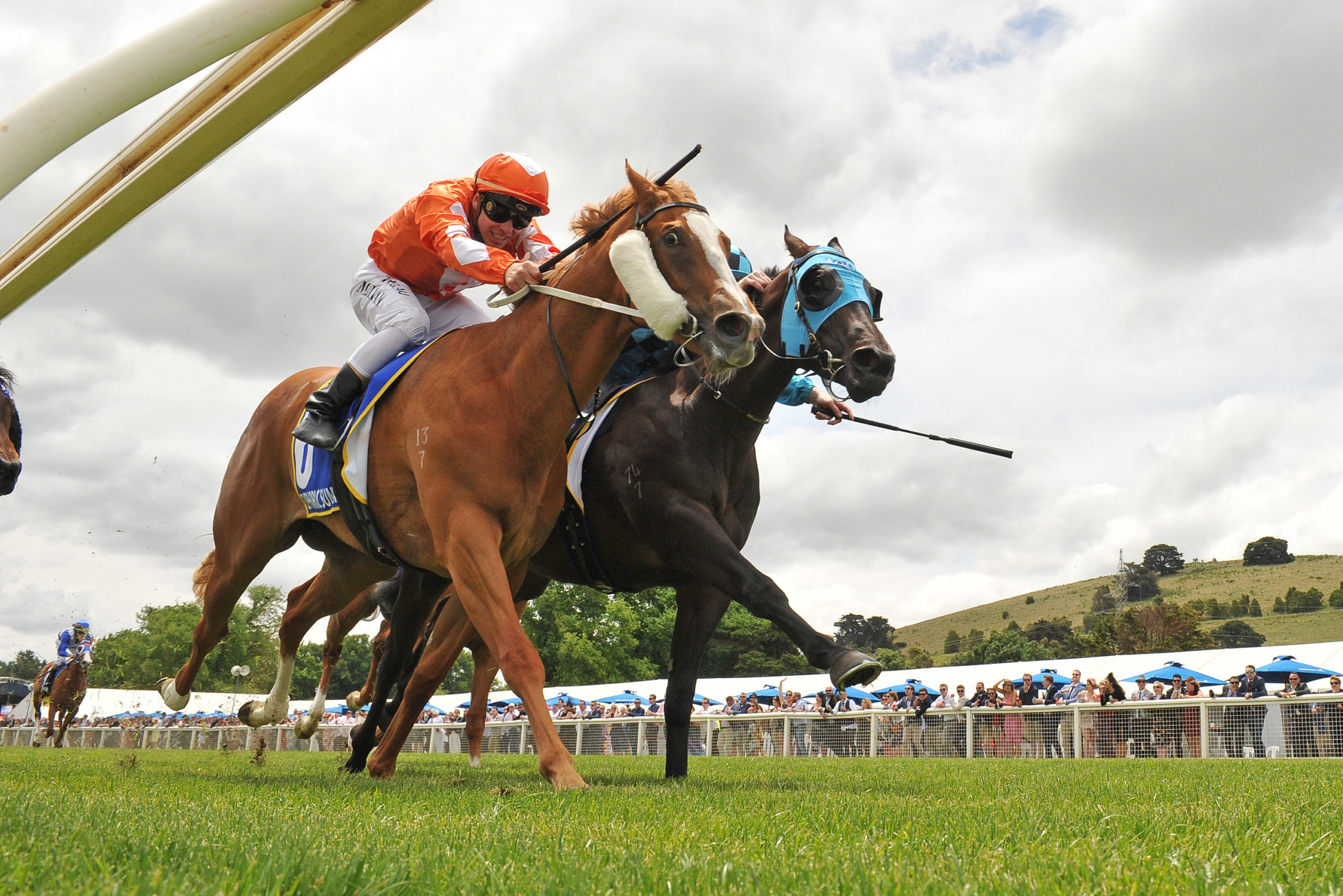 Euphoric Summer races into Magic Millions Classic | Sports News Australia