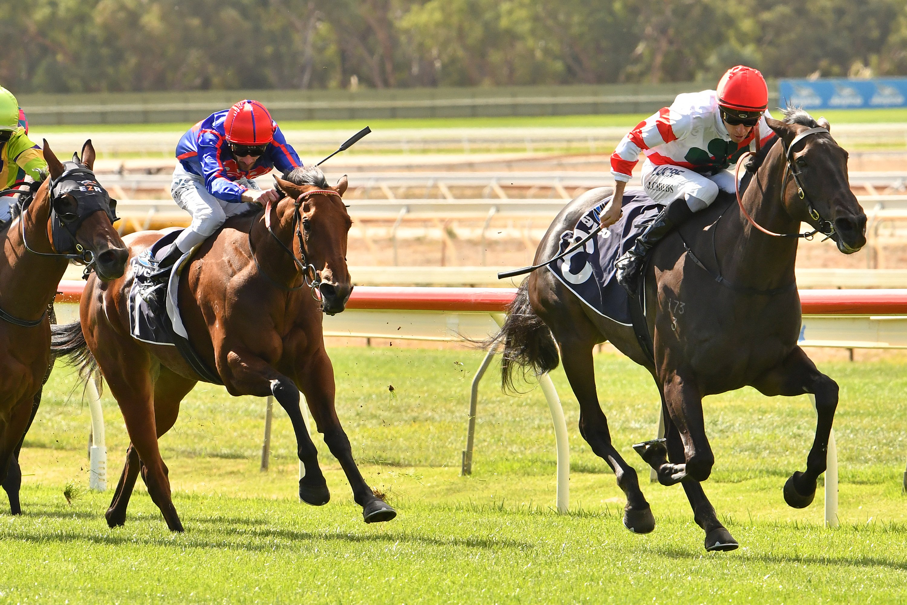 Miss Siska set to line-up in Zipping Classic | Sports News Australia