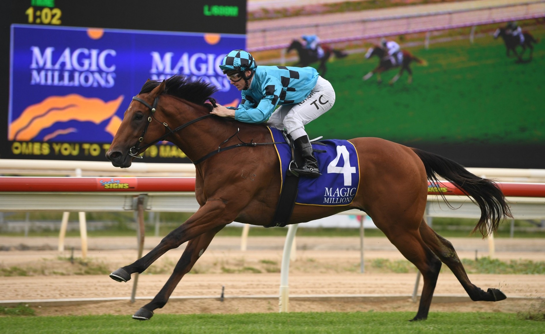Farnan takes Magic Millions Classic favouritism | Sports News Australia