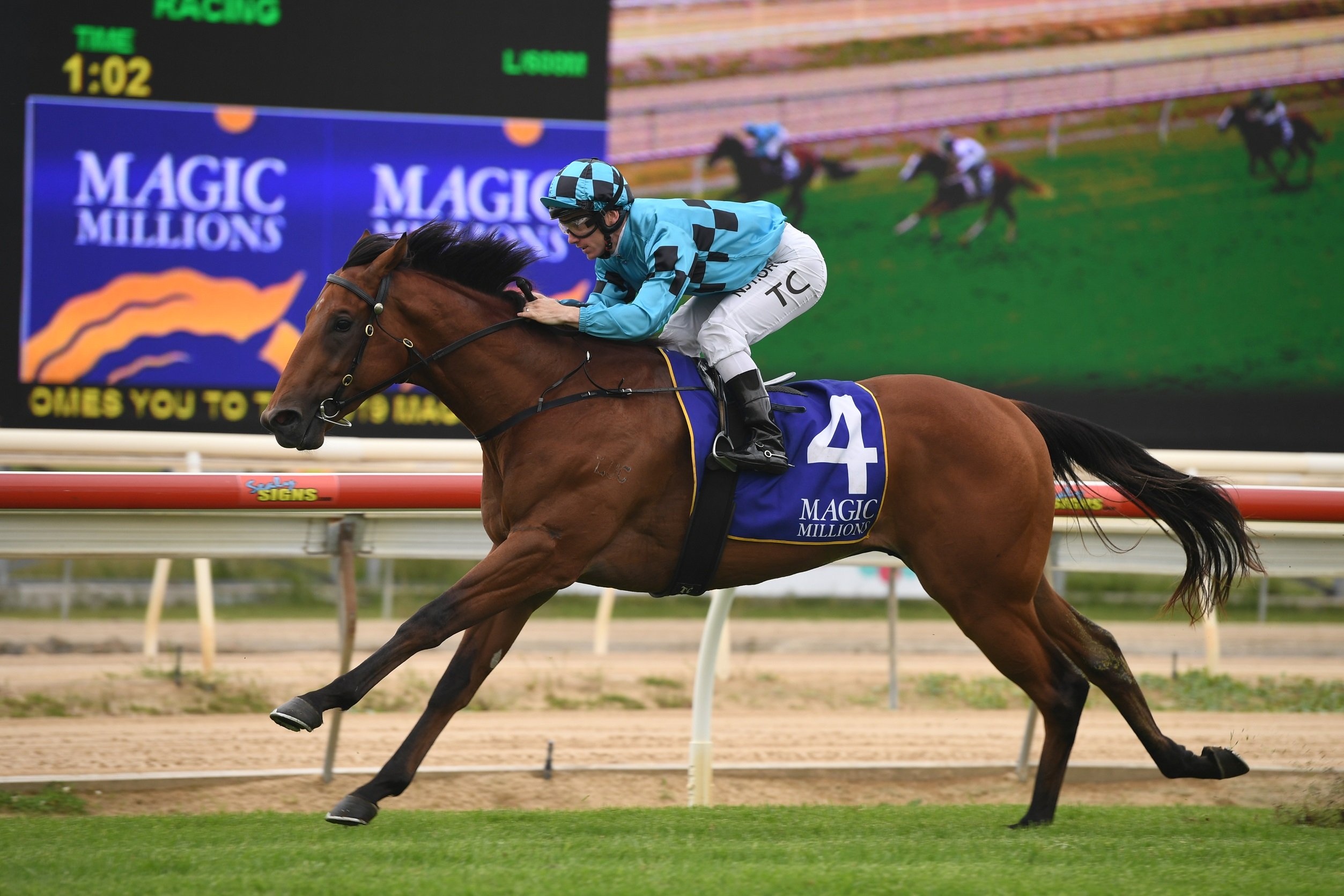 Farnan takes Magic Millions Classic favouritism | Sports News Australia