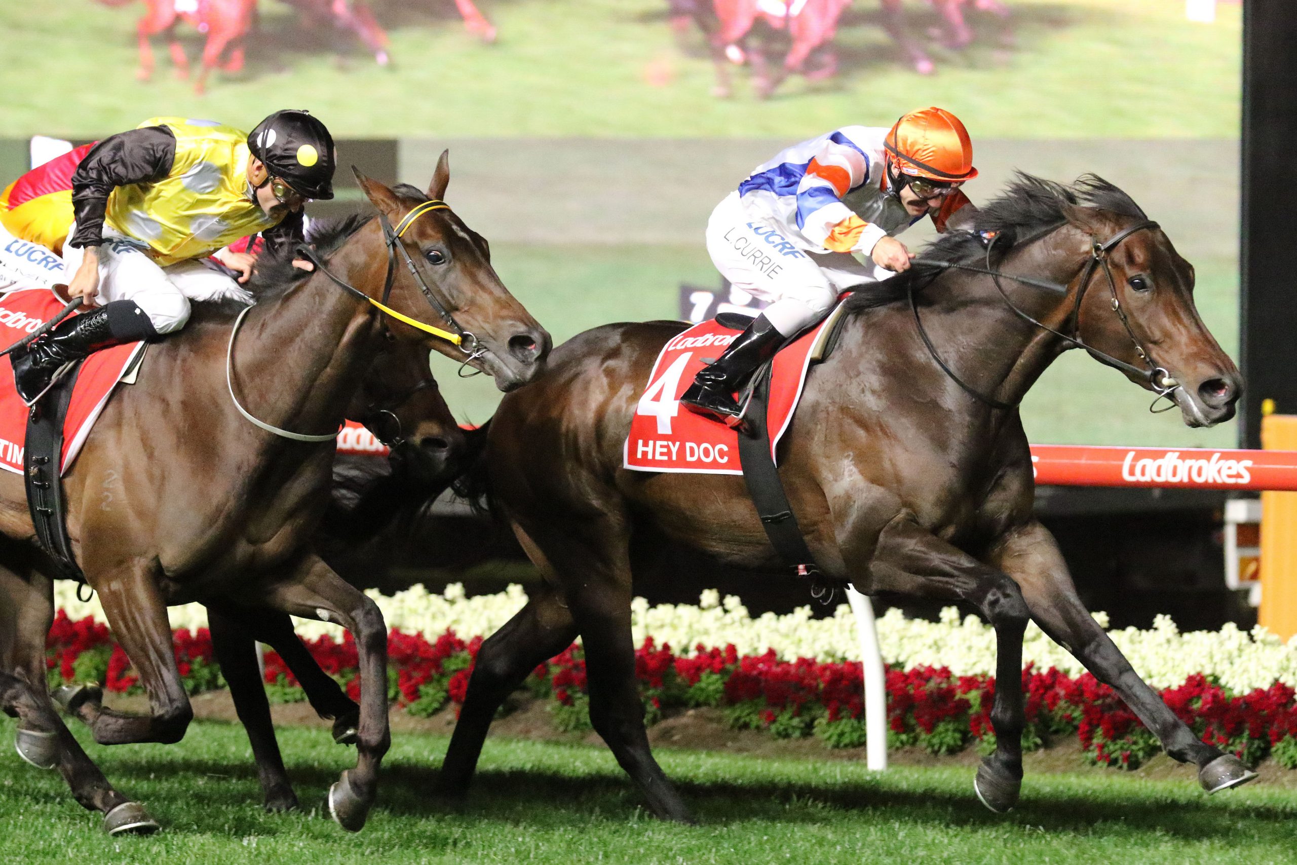 Hey Doc set for a big Autumn racing carnival | Sports News Australia