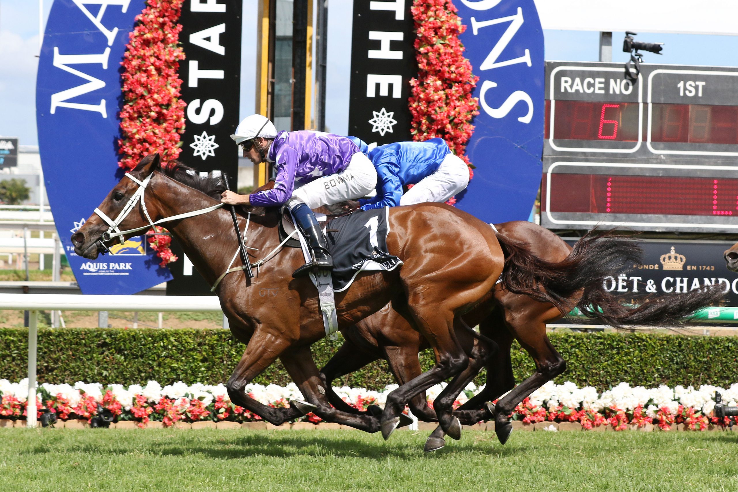 Record crowd tipped for Magic Millions race day | Sports News Australia