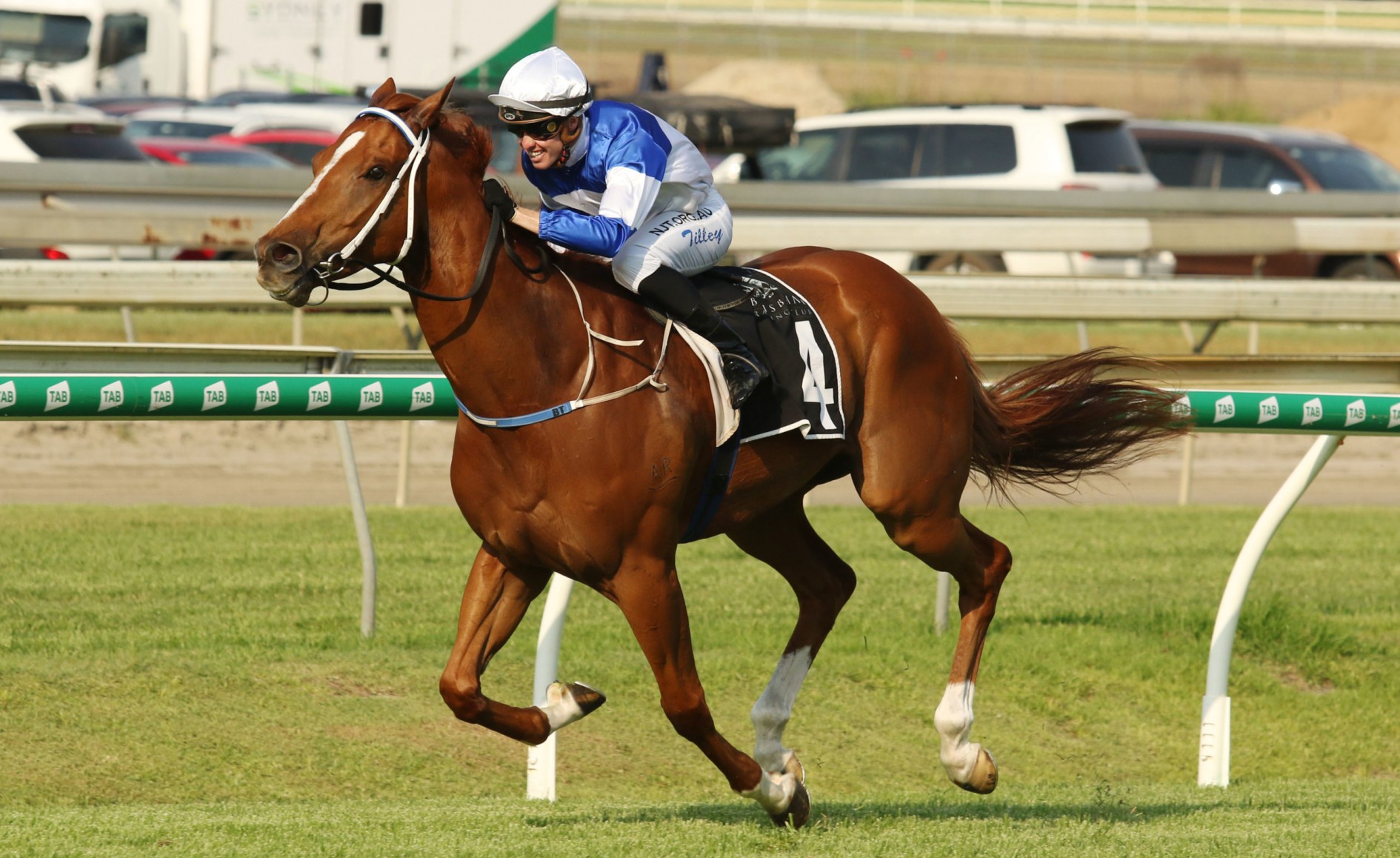 Spurcraft set to target Magic Millions Snippets | Sports News Australia