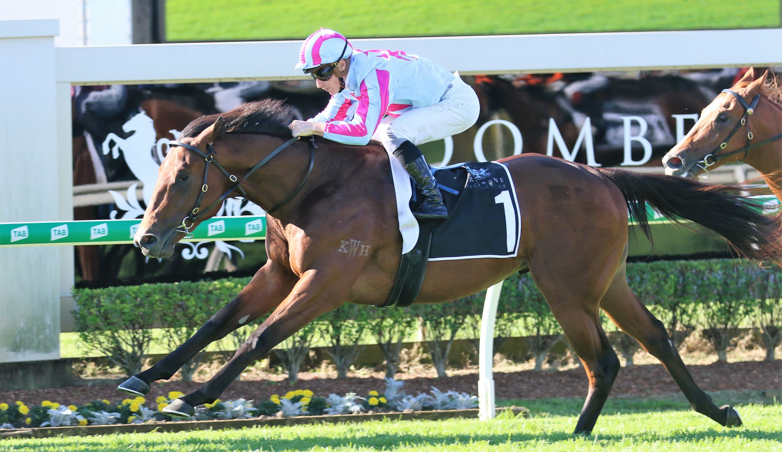 Magic Millions draws no barrier for Vic stable | Sports News Australia