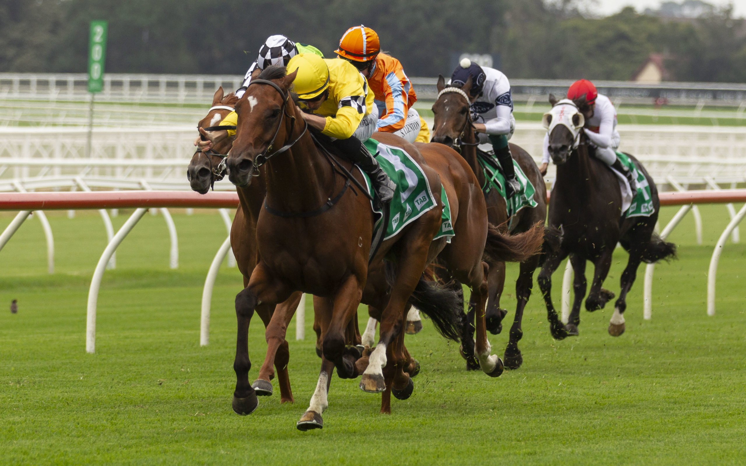 Jockey Tom Marquand makes most of Sydney opportunity | Sports News ...