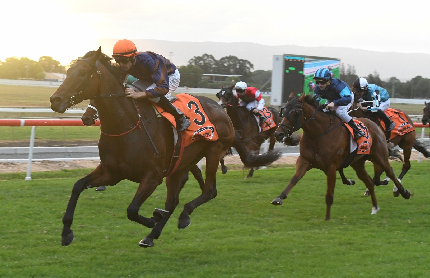 Maroubra Mile day Tips and Bets – Randwick Races 4/1/2020 | Sports News ...