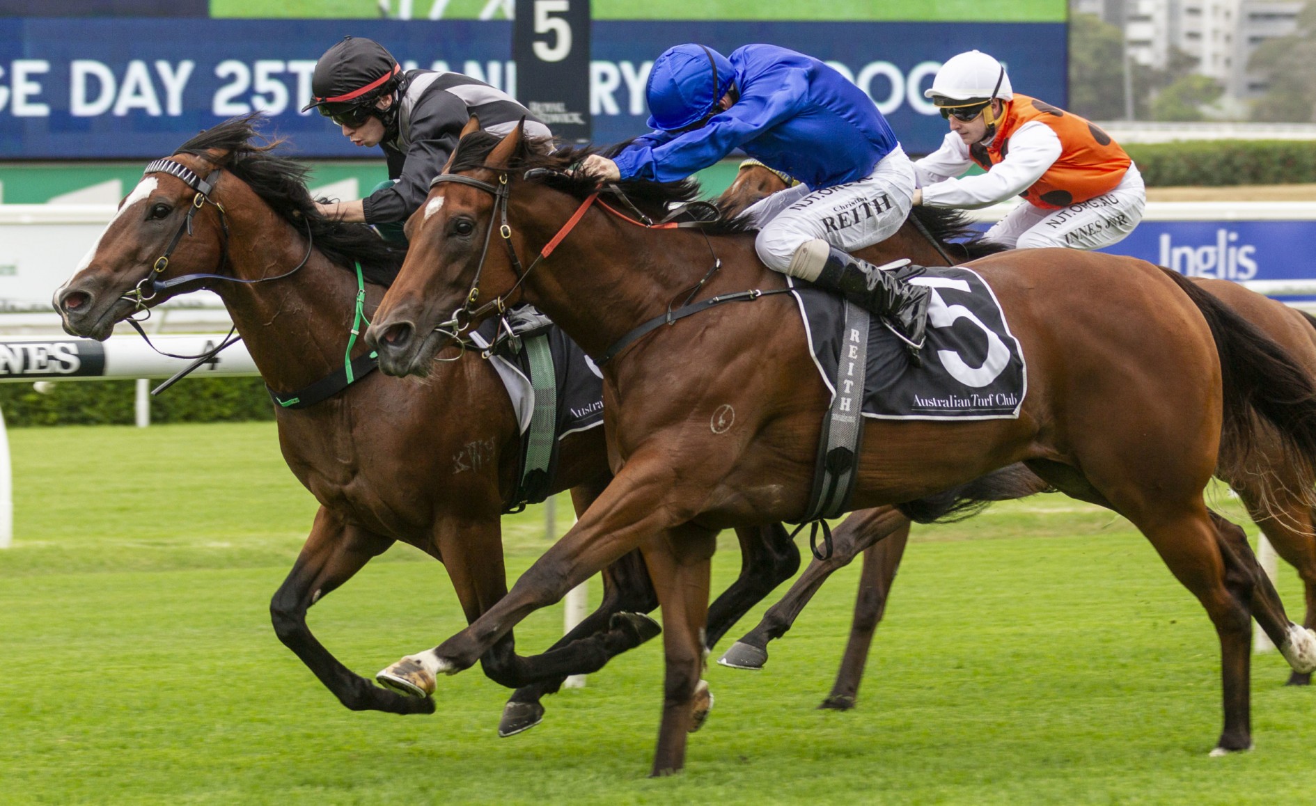 Splintex to be set on a G1 The Galaxy campaign | Sports News Australia