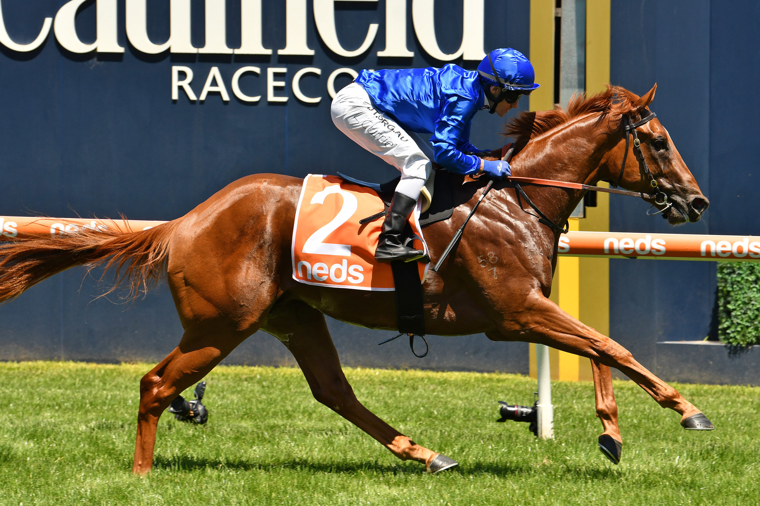Neds Blue Diamond Stakes week information | Sports News Australia