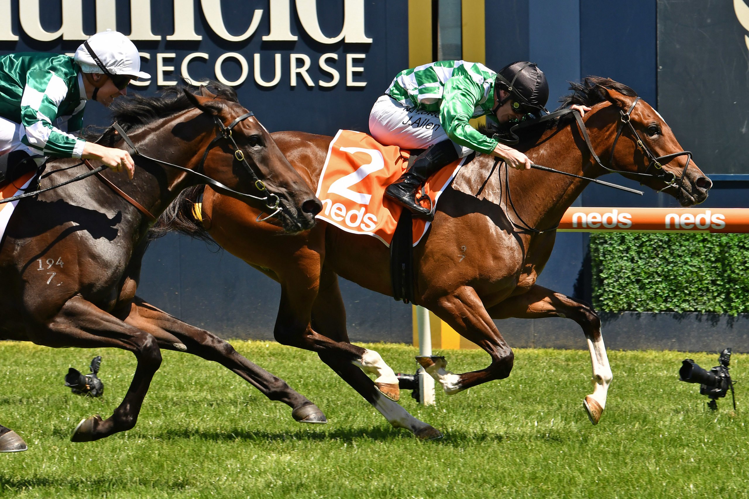 A Beautiful Night races into 2020 Blue Diamond Stakes | Sports News ...