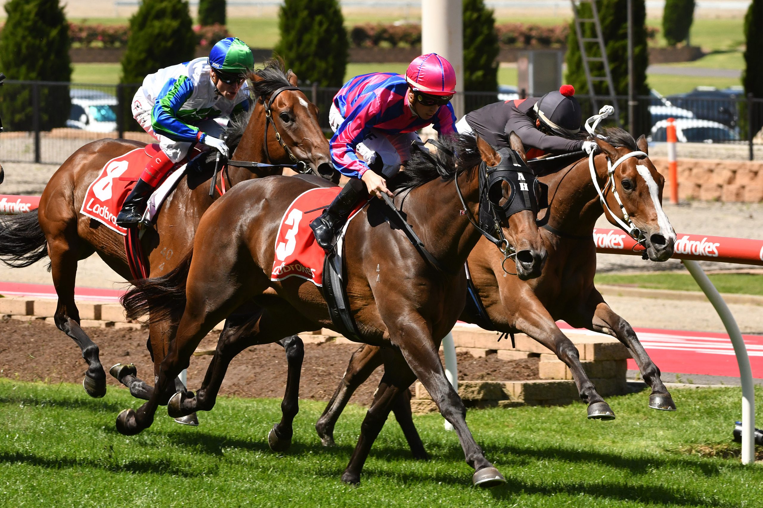 Blue Diamond Previews day Tips and Bets – Caulfield Races 25/1/2020 ...