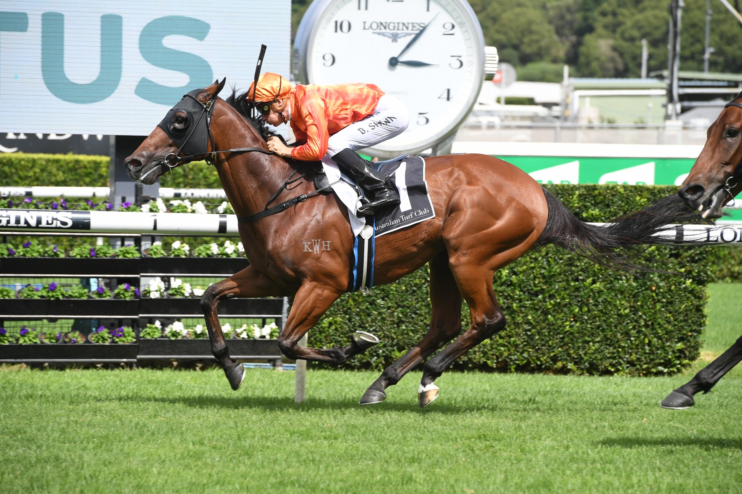 Chipping Norton Stakes Tips, Field Preview and Selections – 2020 ...