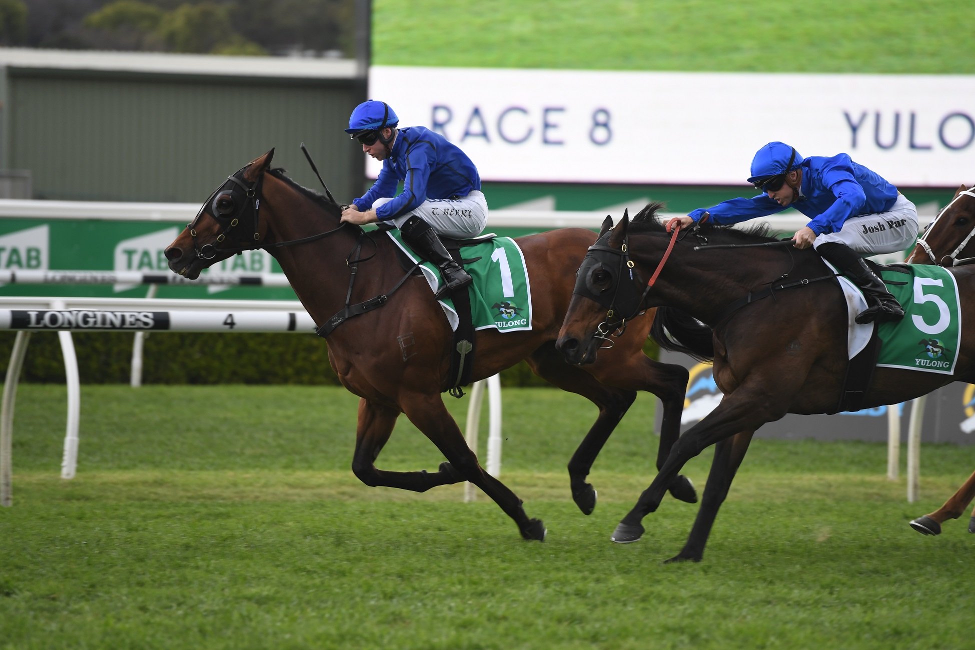 Happy Clapper set for another Apollo Stakes mission | Sports News Australia
