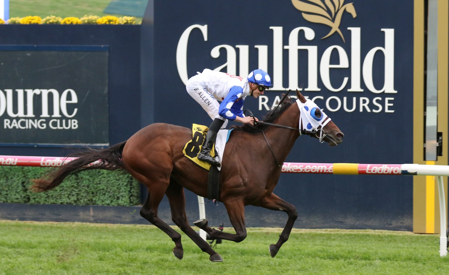 Mr Quickie fresh and ready for $5m All Star Mile | Sports News Australia