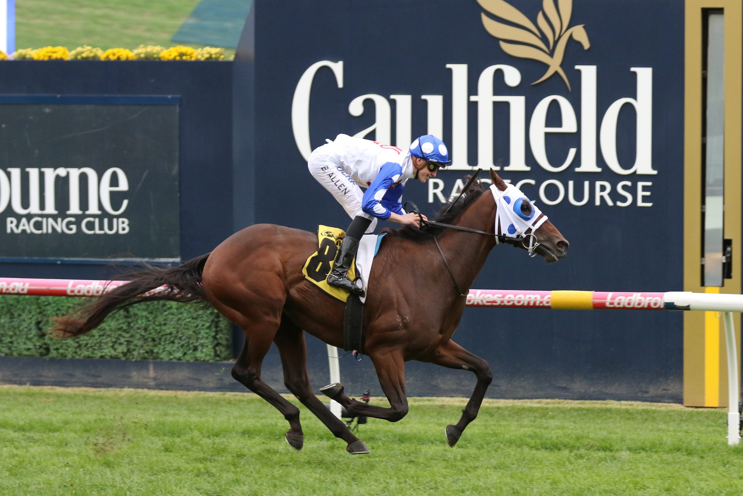 Mr Quickie fresh and ready for $5m All Star Mile | Sports News Australia